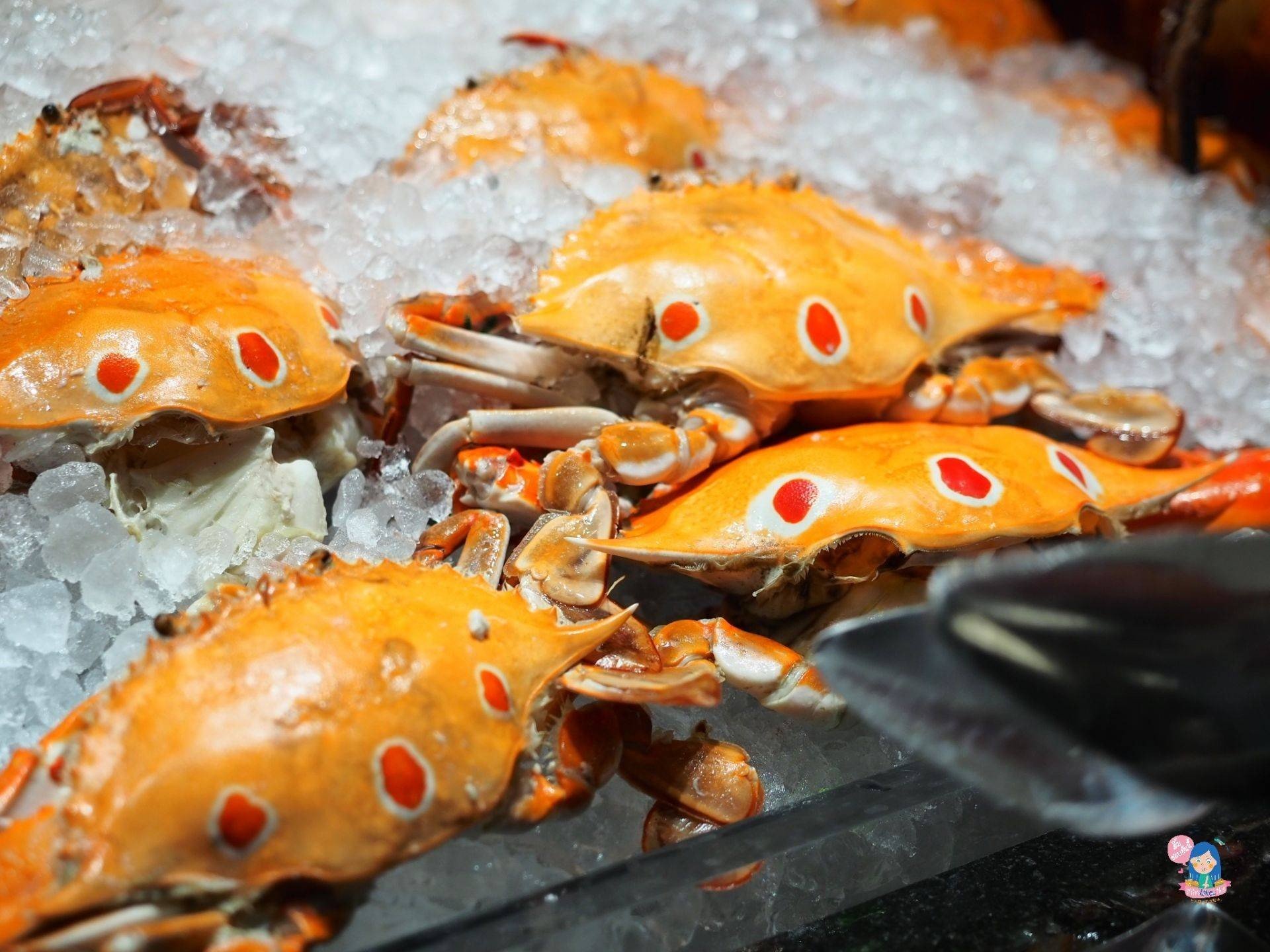 รีวิว Great Harbour ICONSIAM - Buffet คุณภาพ