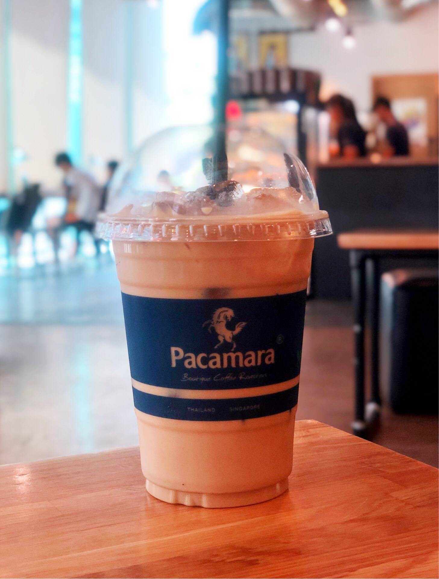 รีวิว PACAMARA หอสมุดคณะแพทยศาสตร์ จุฬาลงกรณ์มหาวิทยาลัย - กาแฟในจุฬา