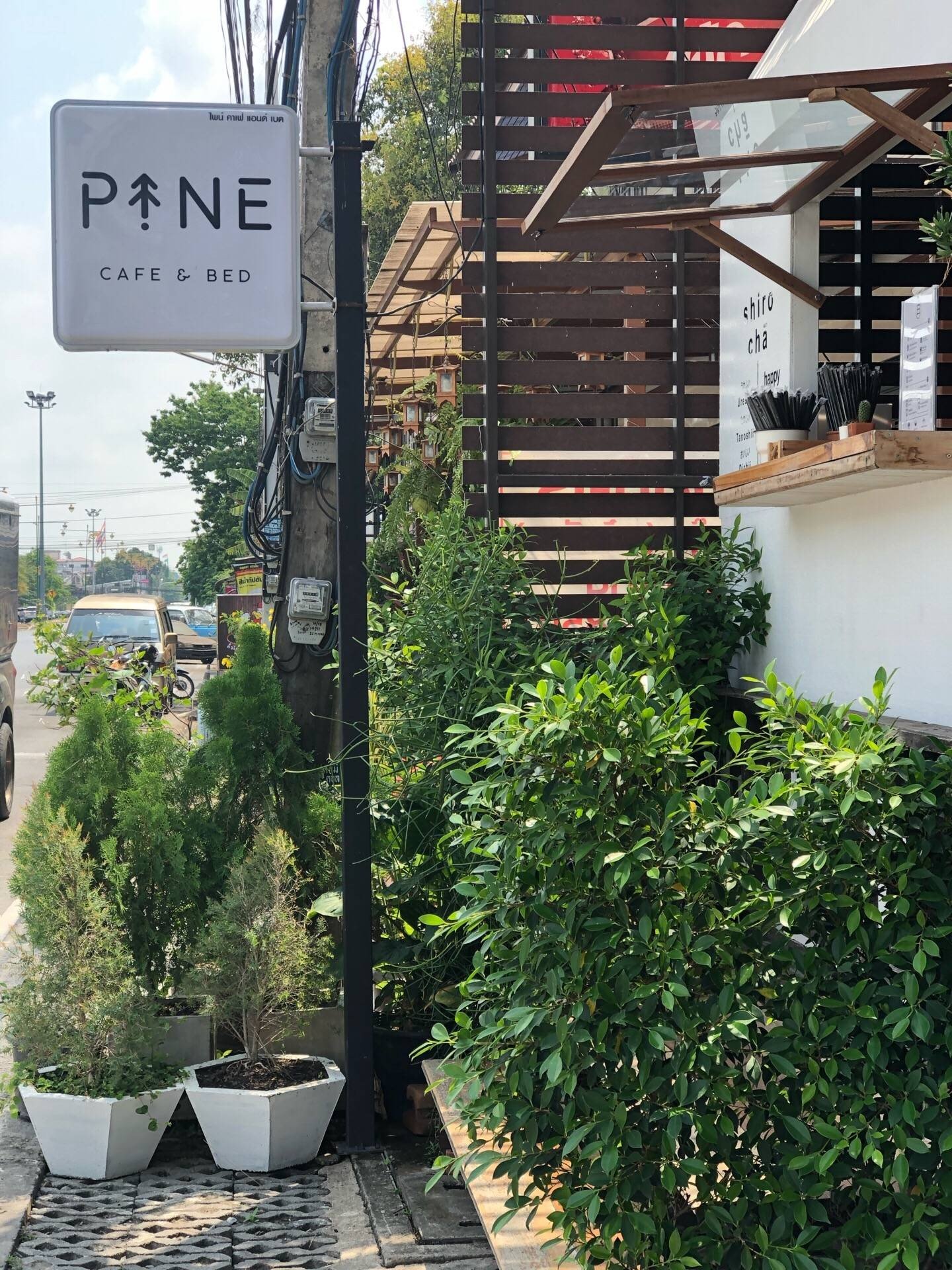 รีวิว PINE Cafe & Bed - บรรยากาศร้านโอเคนะ อาหารรสชาติกลางๆ ไม่ถึงกับอร่อยมาก หามื้อเที่ยงเลยแวะ