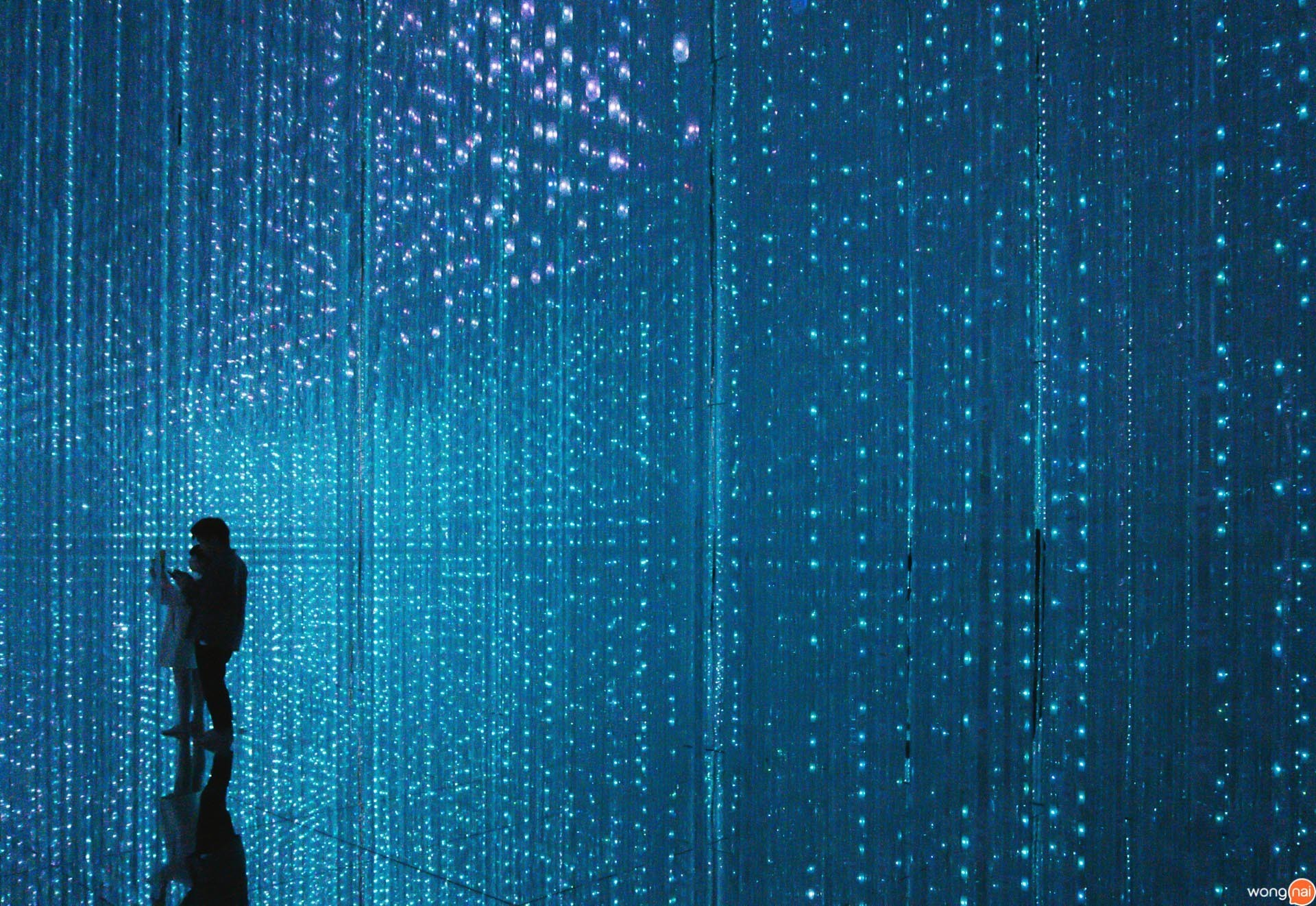 ที่เที่ยวโตเกียวแห่งใหม่! teamLab Planets พิพิธภัณฑ์ดิจิทัลอาร์ตสุดคูล