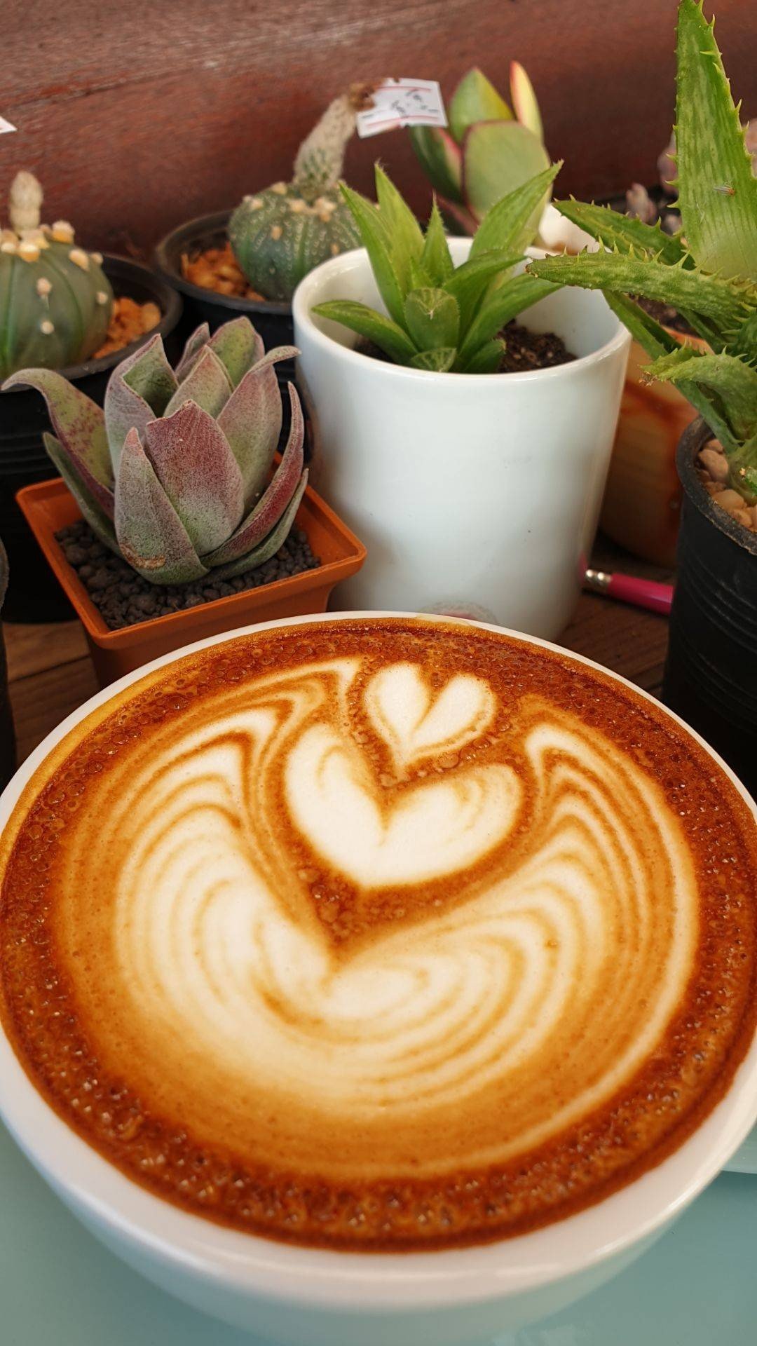 รีวิว SUTTI COFFEE - ร้านกาแฟสไตล์ท้องทุ่ง กับรสชาติมีระดับที่สุทธิ คอฟฟี่