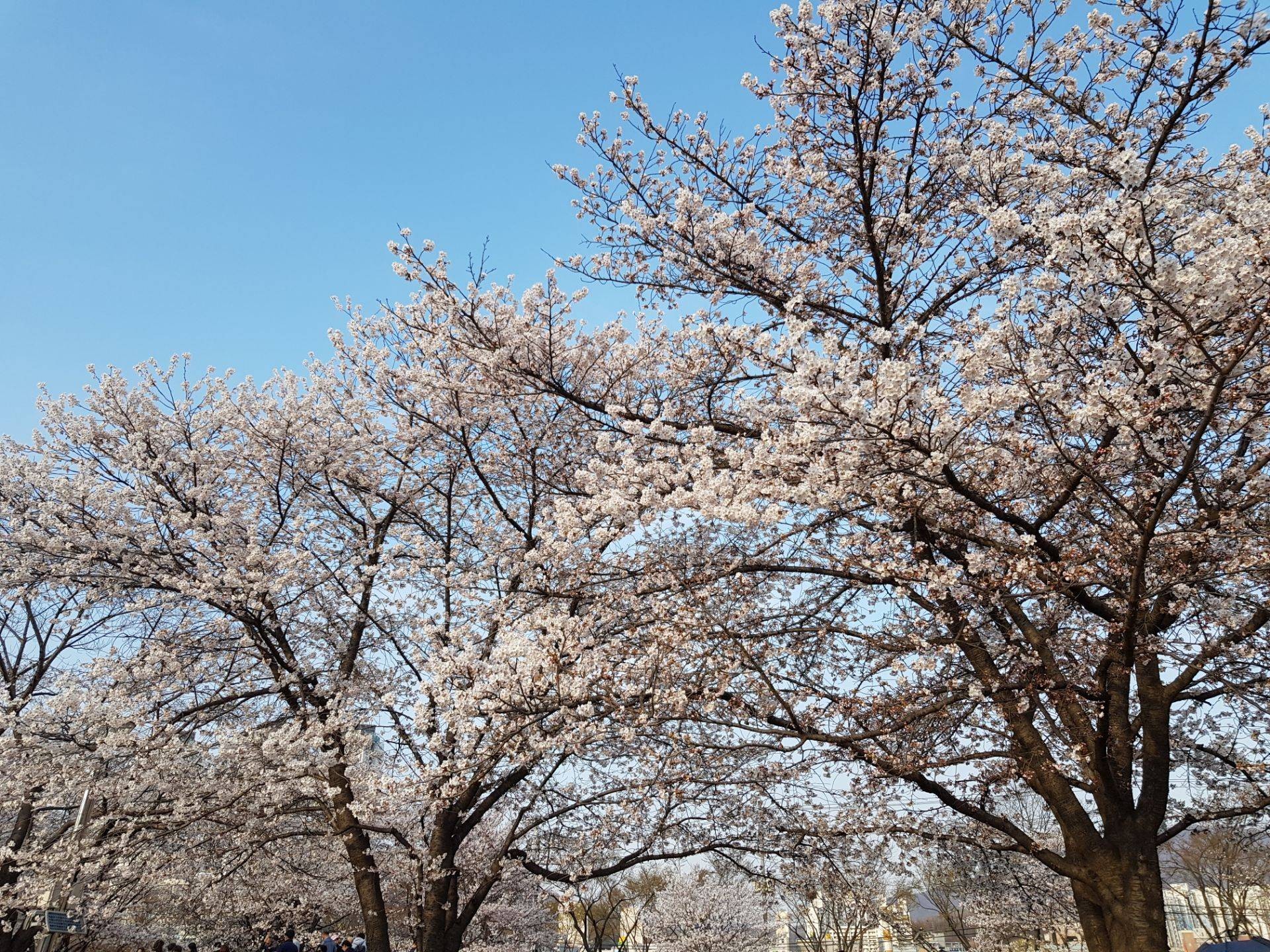 Uiwang City Hall - รีวิวสถานที่ท่องเที่ยว