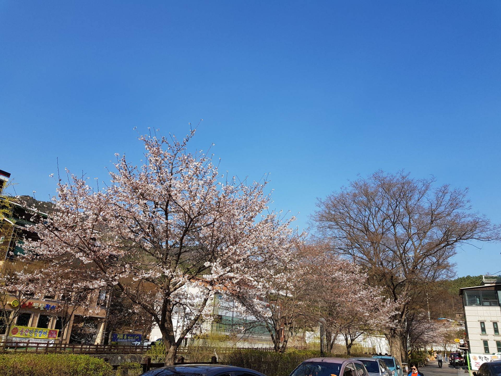 Uiwang City Hall - รีวิวสถานที่ท่องเที่ยว