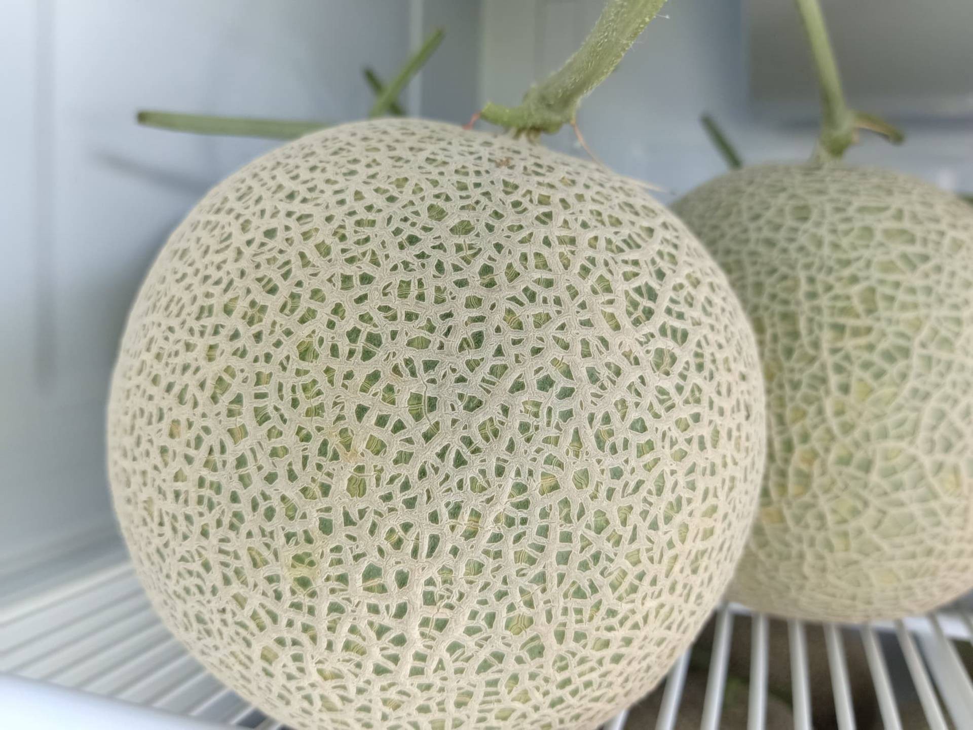 รีวิว Melon Me - MelonMe Farm&Cafe ...ฟาร์มเมล่อนที่เมนูเด็ด มีมากกว่า ...