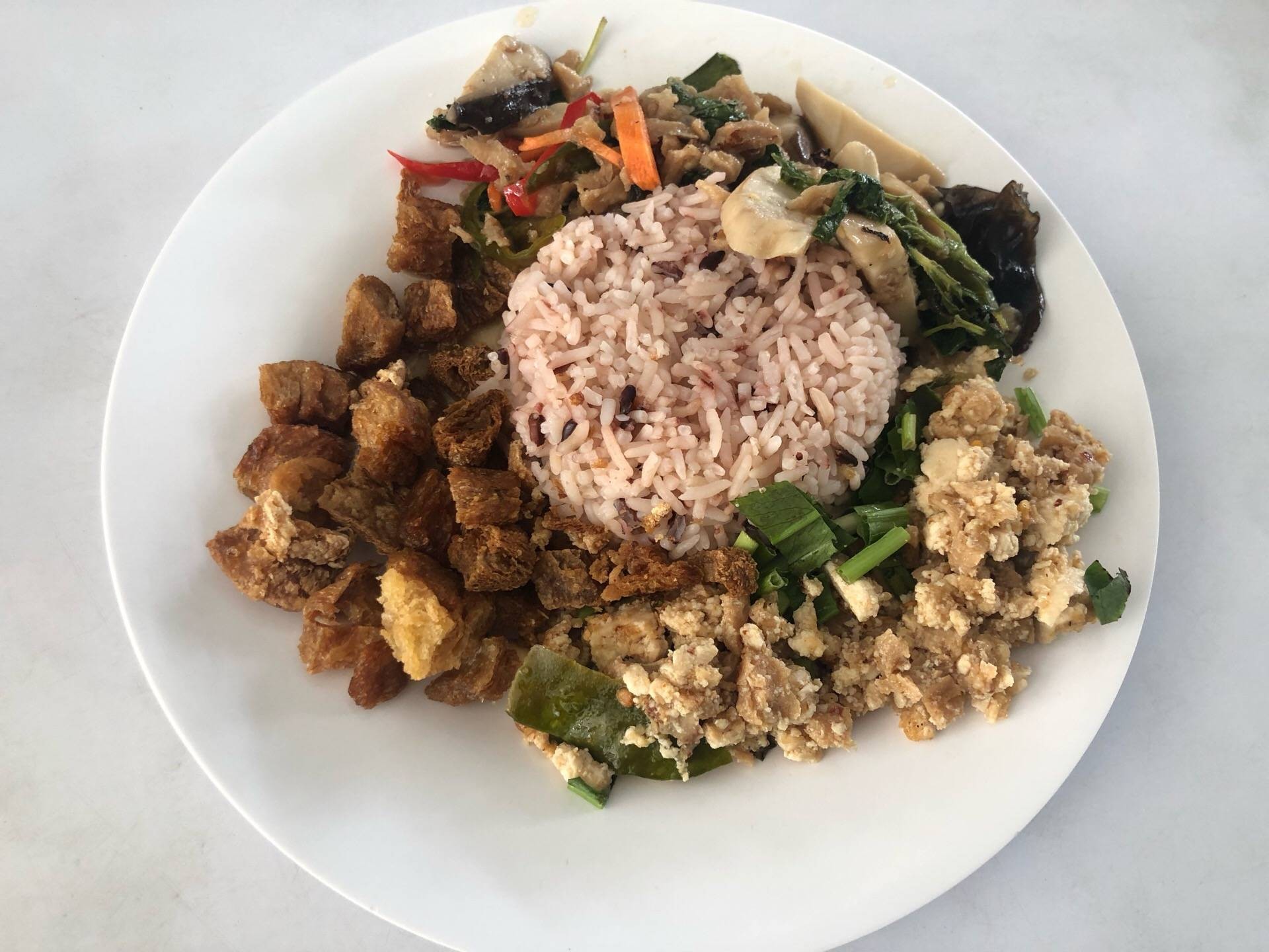 ร้าน ต้นผล the phyll | รีวิวร้านอาหาร