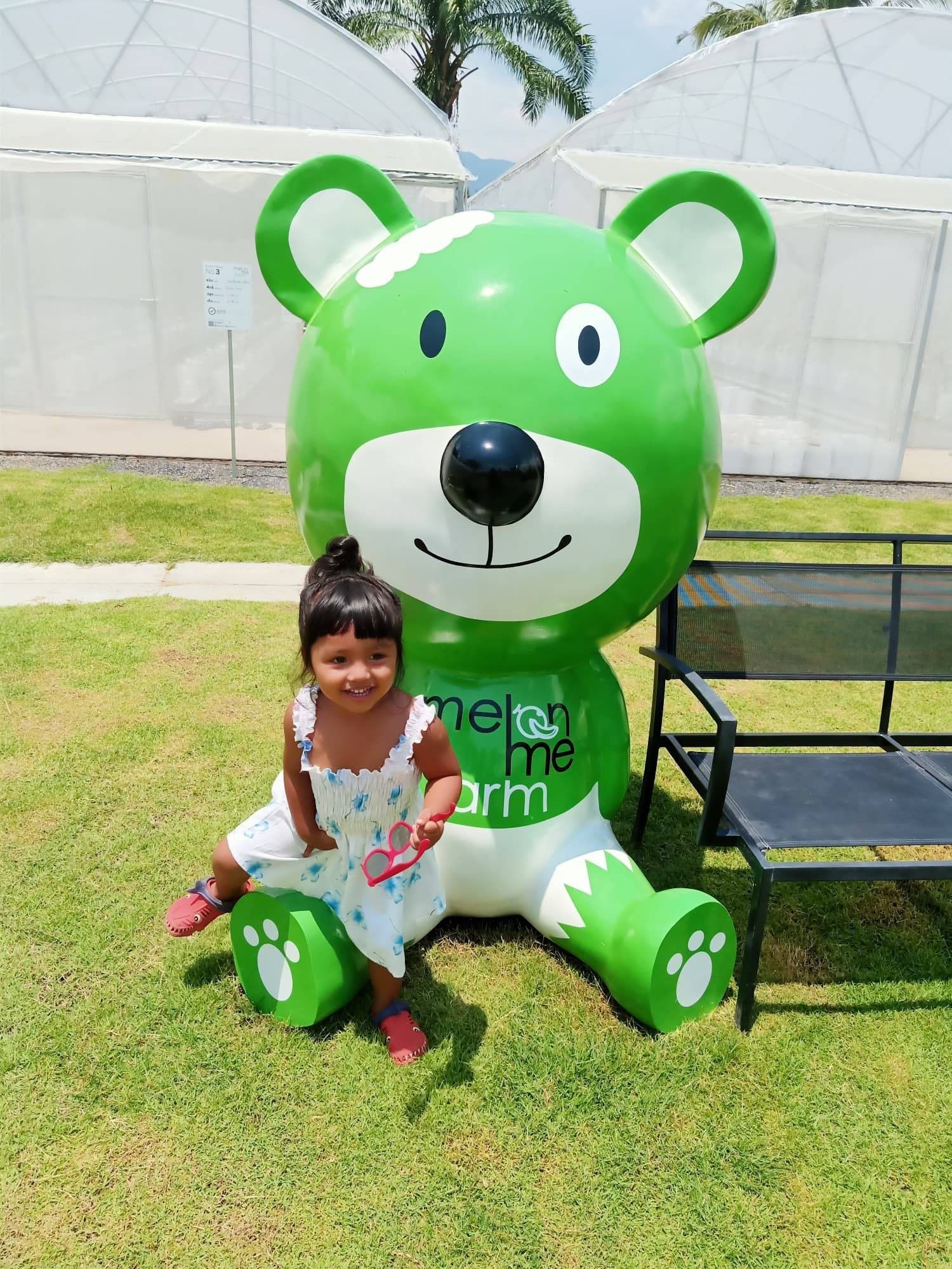 รีวิว Melon Me - เมล่อนคาแฟ่ เปิดใหม่ใจกลางสวน - Wongnai