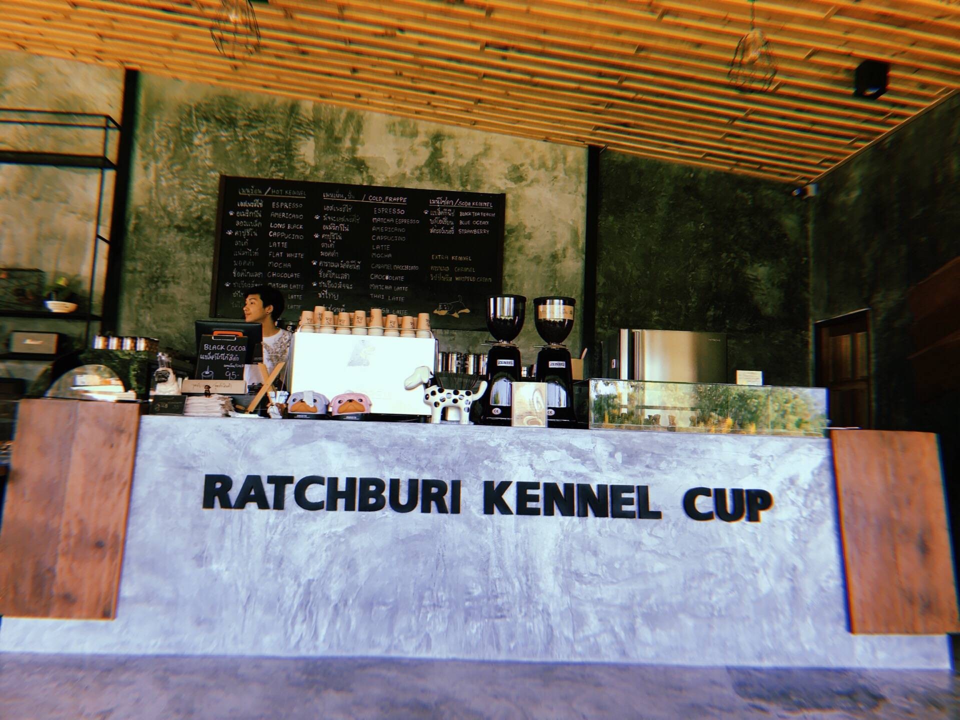 รีวิว Kennel Coffee Nangkeaw - บรรยากาศภายในร้านโปร่ง มองไปด้านนอกเห็น ...