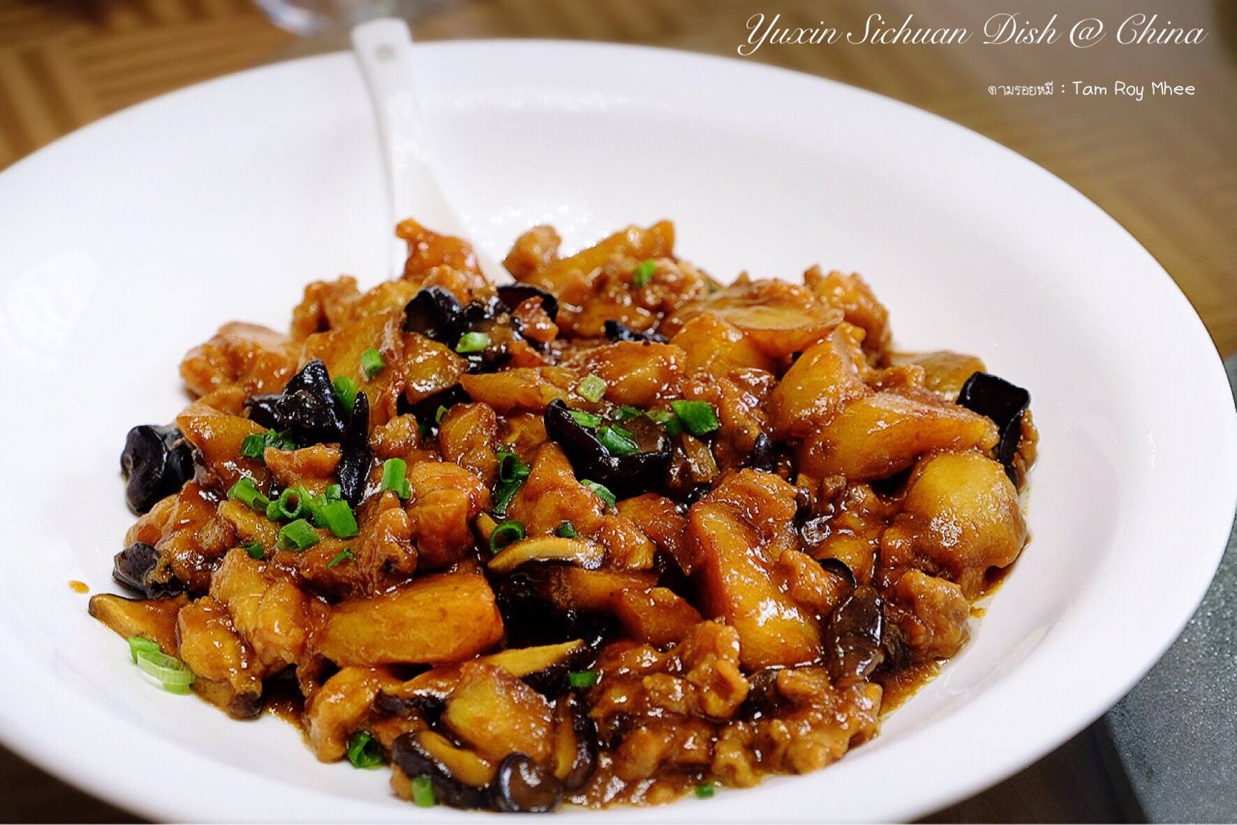 ร้าน Yuxin Sichuan Dish Beijing | รีวิวร้านอาหาร