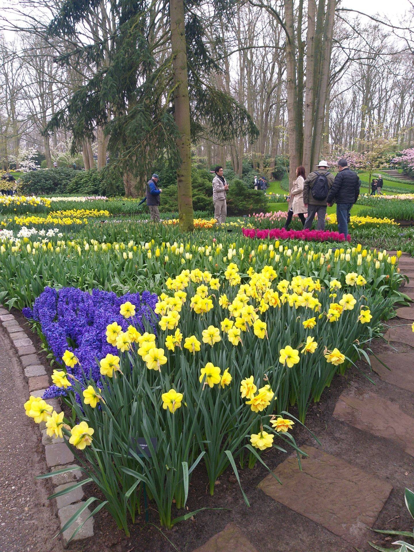 Keukenhof Garden - รีวิวสถานที่ท่องเที่ยว