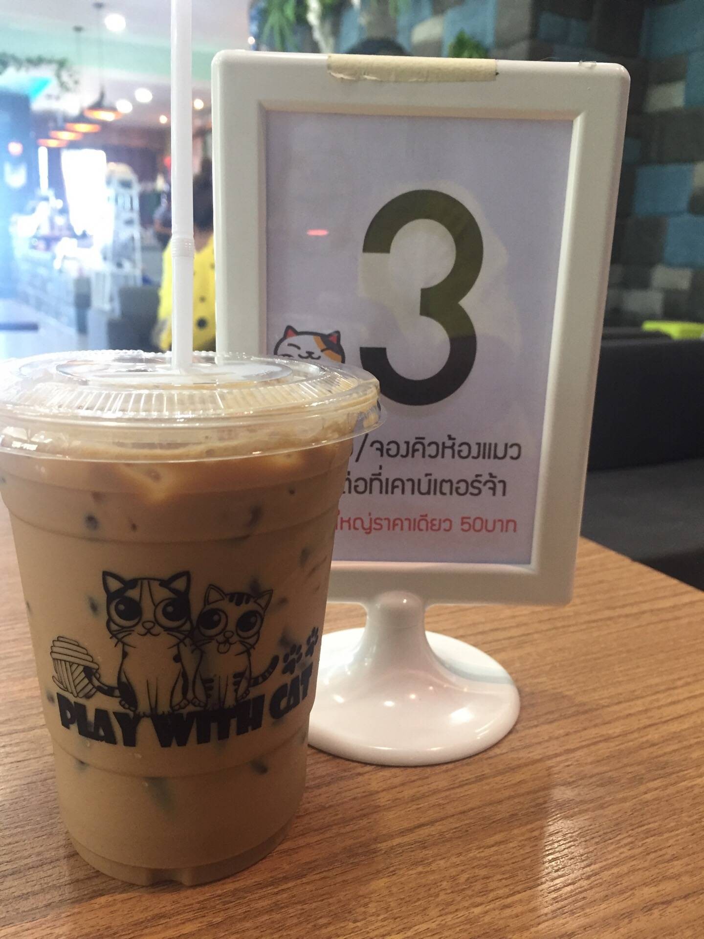 รีวิว Chill cat cafe - กาแฟสด เพชรเกษม110 - ร้านกาแฟ แอร์เย็น มีwifi มี ...
