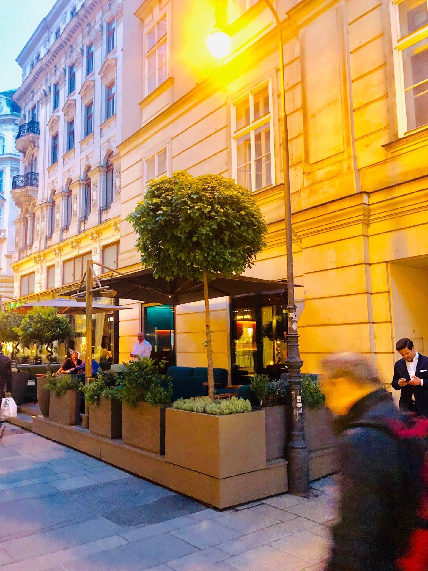 รีวิว Fabios, Vienna - ร้านอาหาร Mediterranean, Michelin Guide และเป็น ...