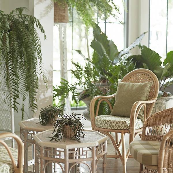 The Botanical House - รีวิวสถานที่ท่องเที่ยว