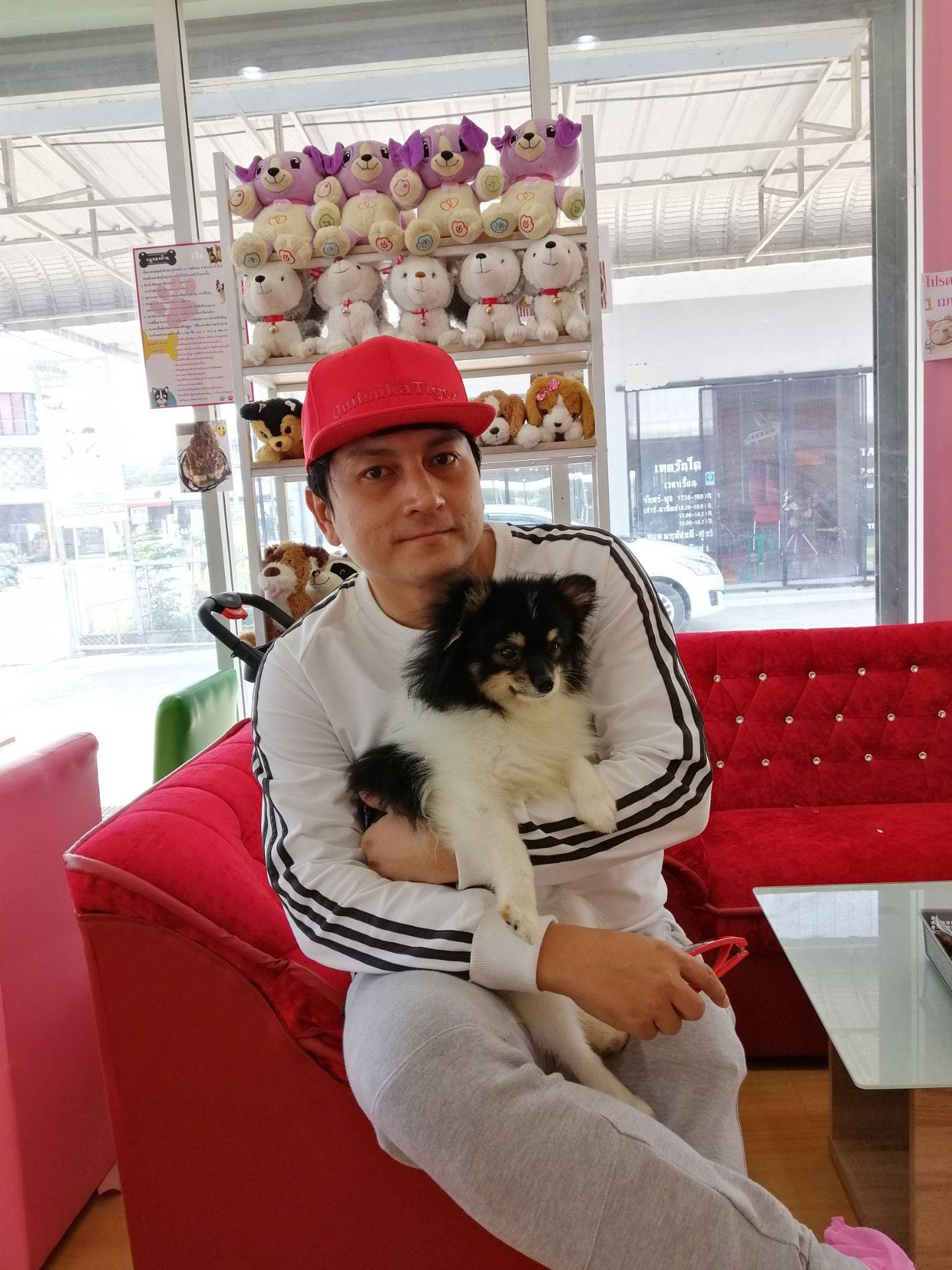 รีวิว Smile Dog Cafe - มาเล่นกับน้องหมา