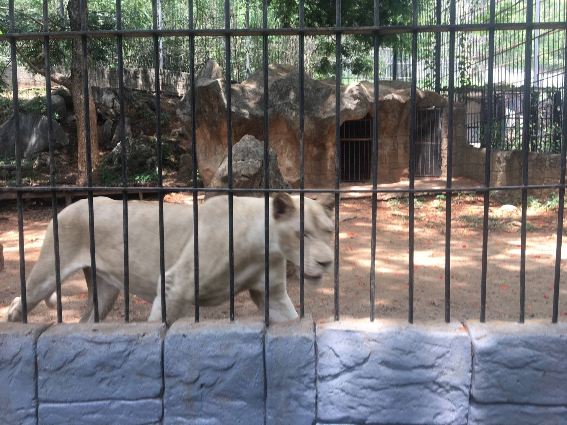 รูป Bonanza Exotic Zoo - Wongnai