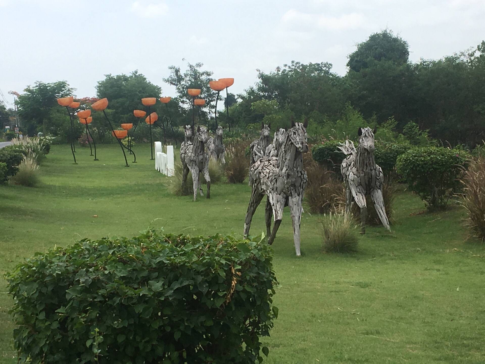รีวิว Bonanza Exotic Zoo - สวนสัตว์เล็กๆ มีสัตว์จากต่างแดนมารวมกัน ...
