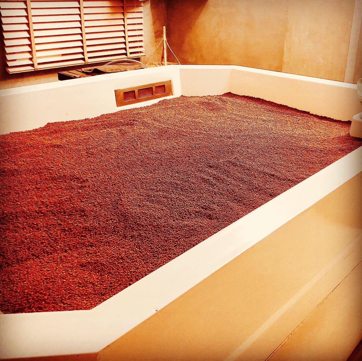 รีวิว The One Sand Bath Spa ศรีนครินทร์ - บ่อทรายหินภูเขาไฟญี่ปุ่น ร้อน ...