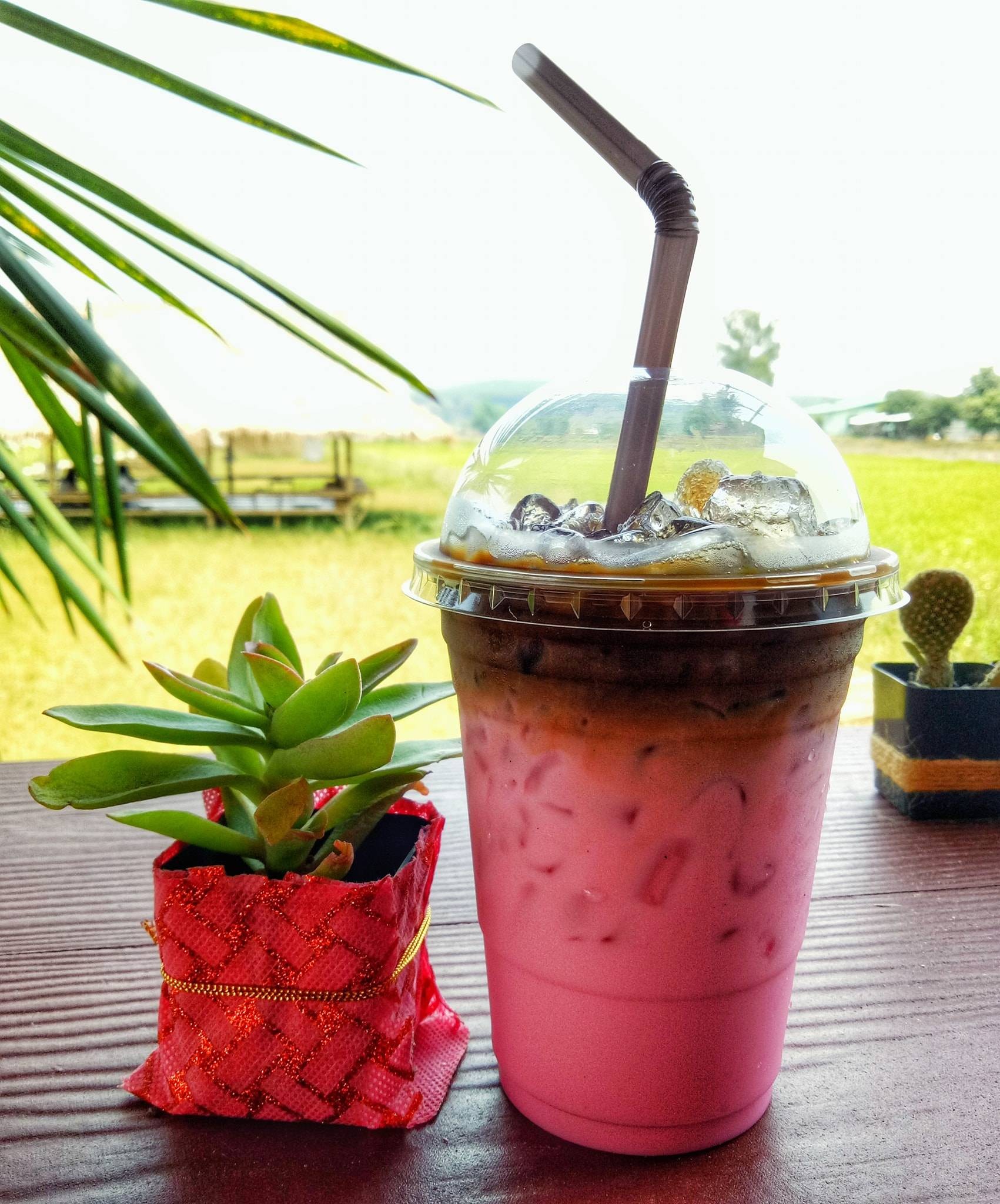 ร้าน มองดูดอยคาเฟ่&โฮมสเตย์ Mong Du Doi Cafe & Home Stay | รีวิวร้านอาหาร