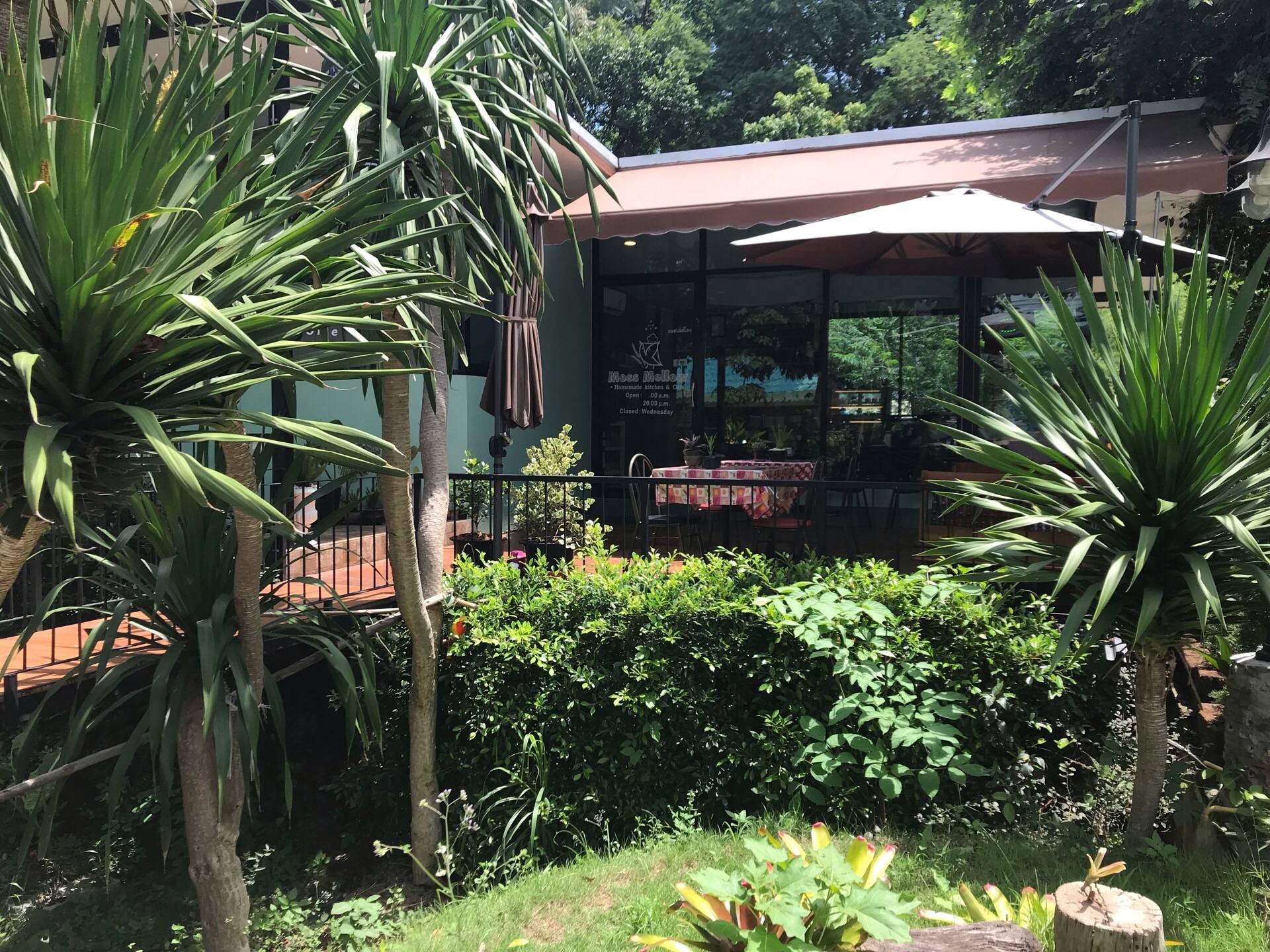 รีวิว Moss Mellow - ラテアートがかわいい！！