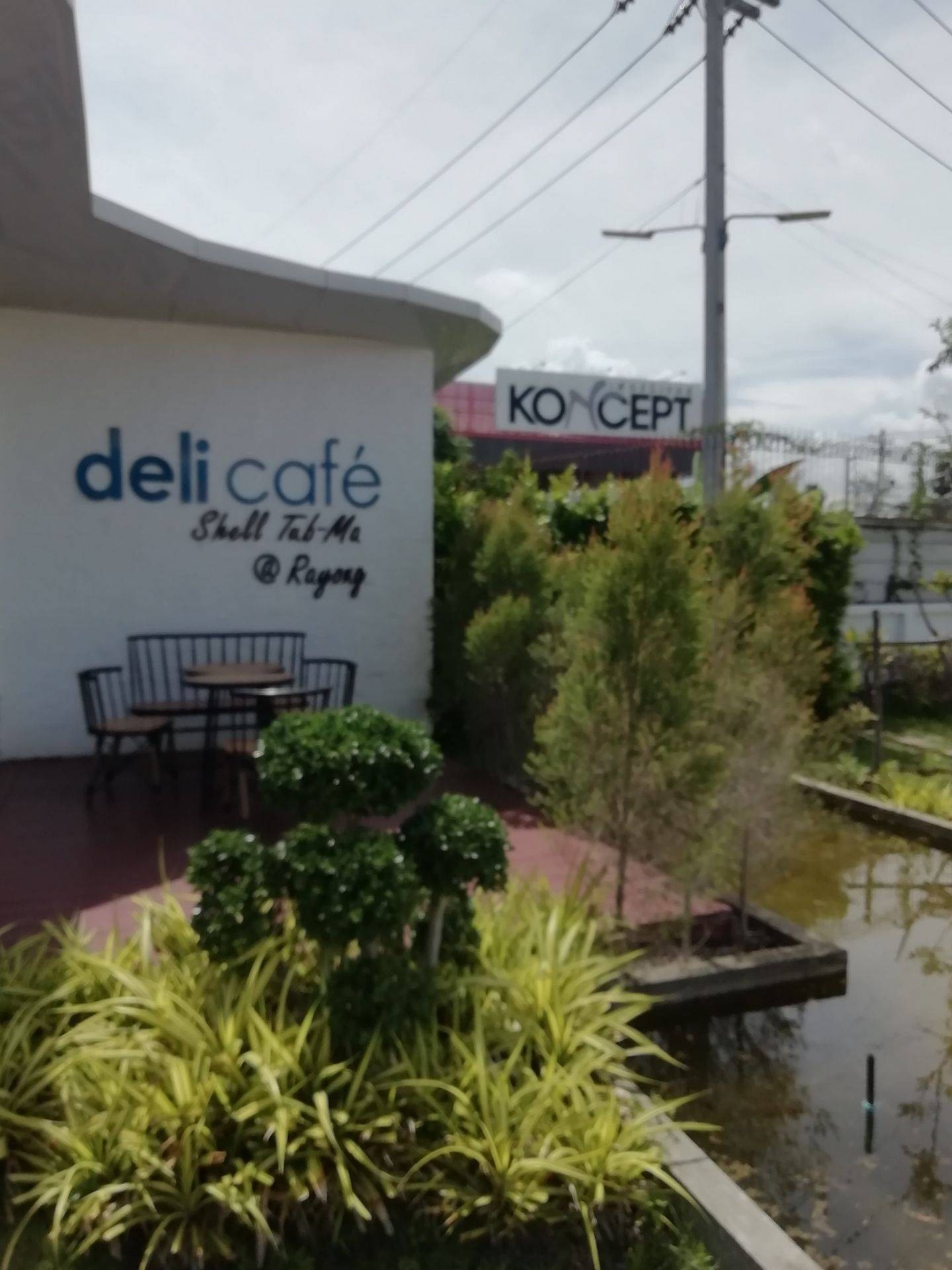 รีวิว Deli Cafe' shell ทับมา - deli cafe ครั้งแรก - Wongnai