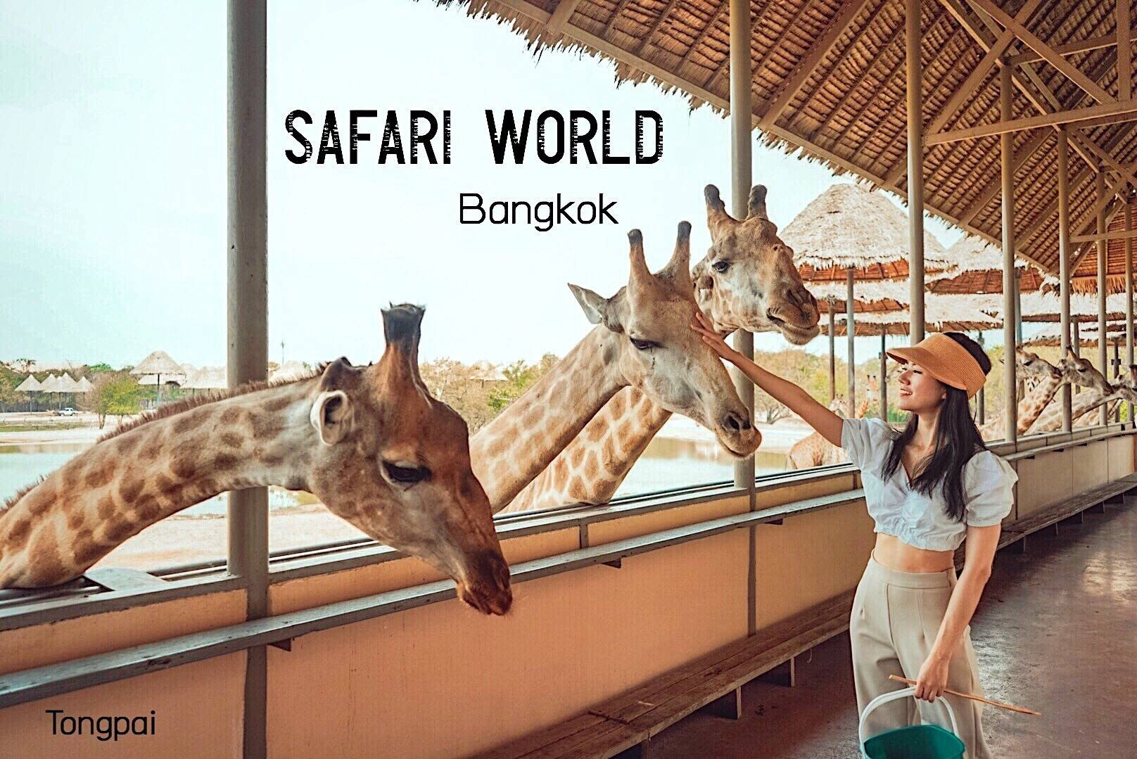 พาย้อนวันวานกลับไปวัยเด็กที่ “ Safari World” - Wongnai Travel