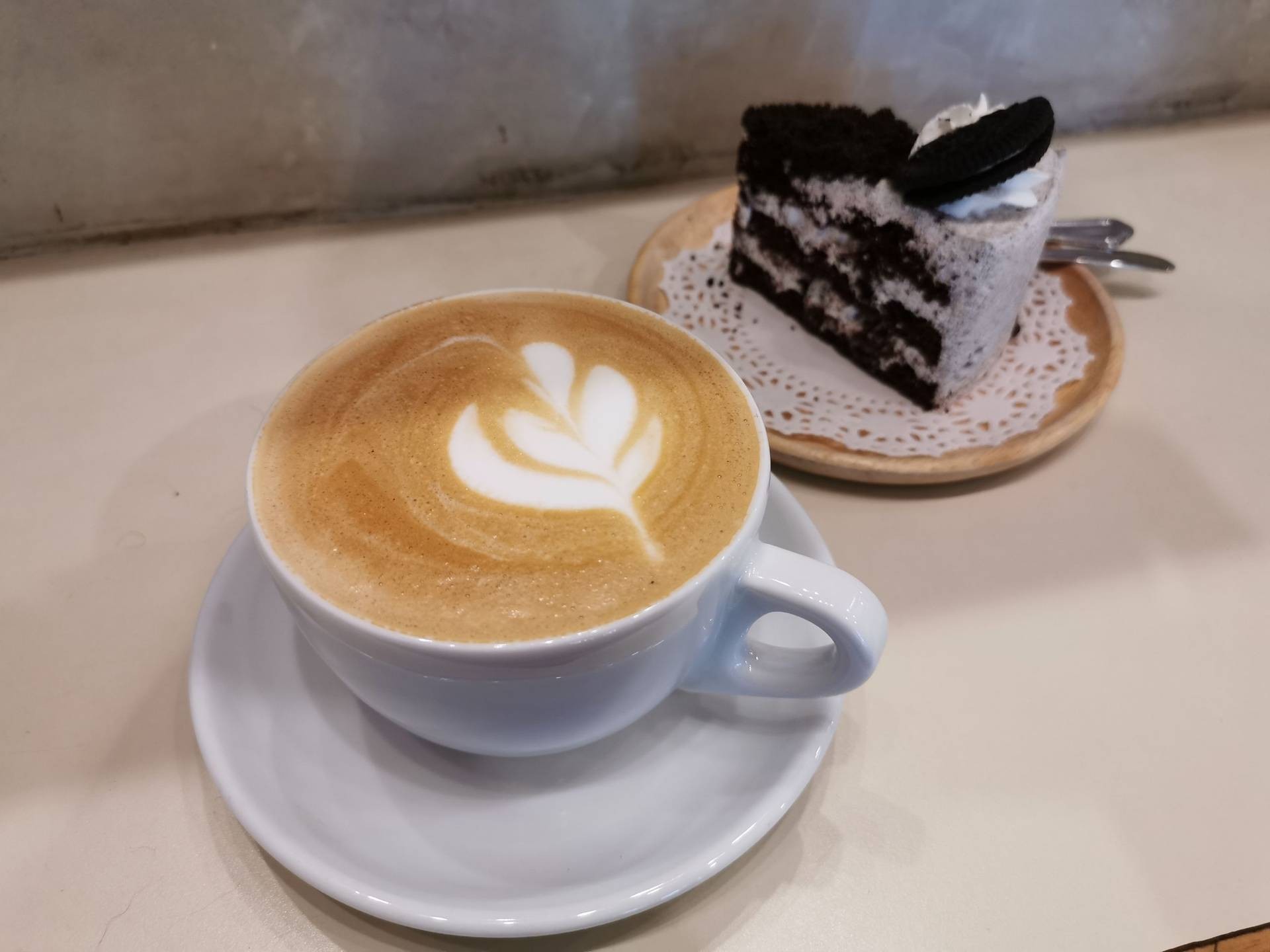รีวิว Catfeine House&Cafe - น้องแมวเยอะมากๆ สำหรับทาสแมวไม่ผิดหวัง ...