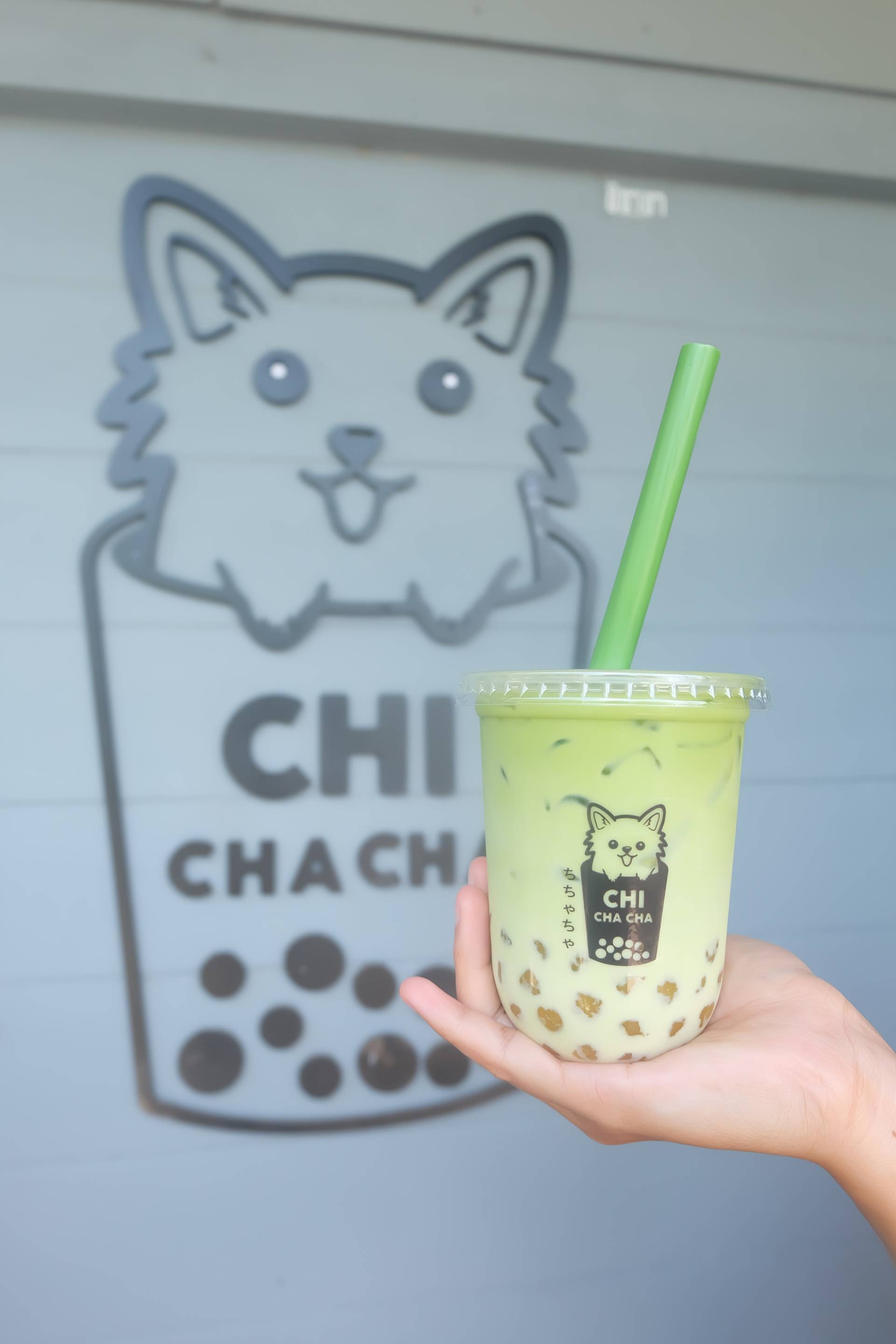 รีวิว chi cha cha หลัง มช. - ดีอร่อยราคาไม่แพง
