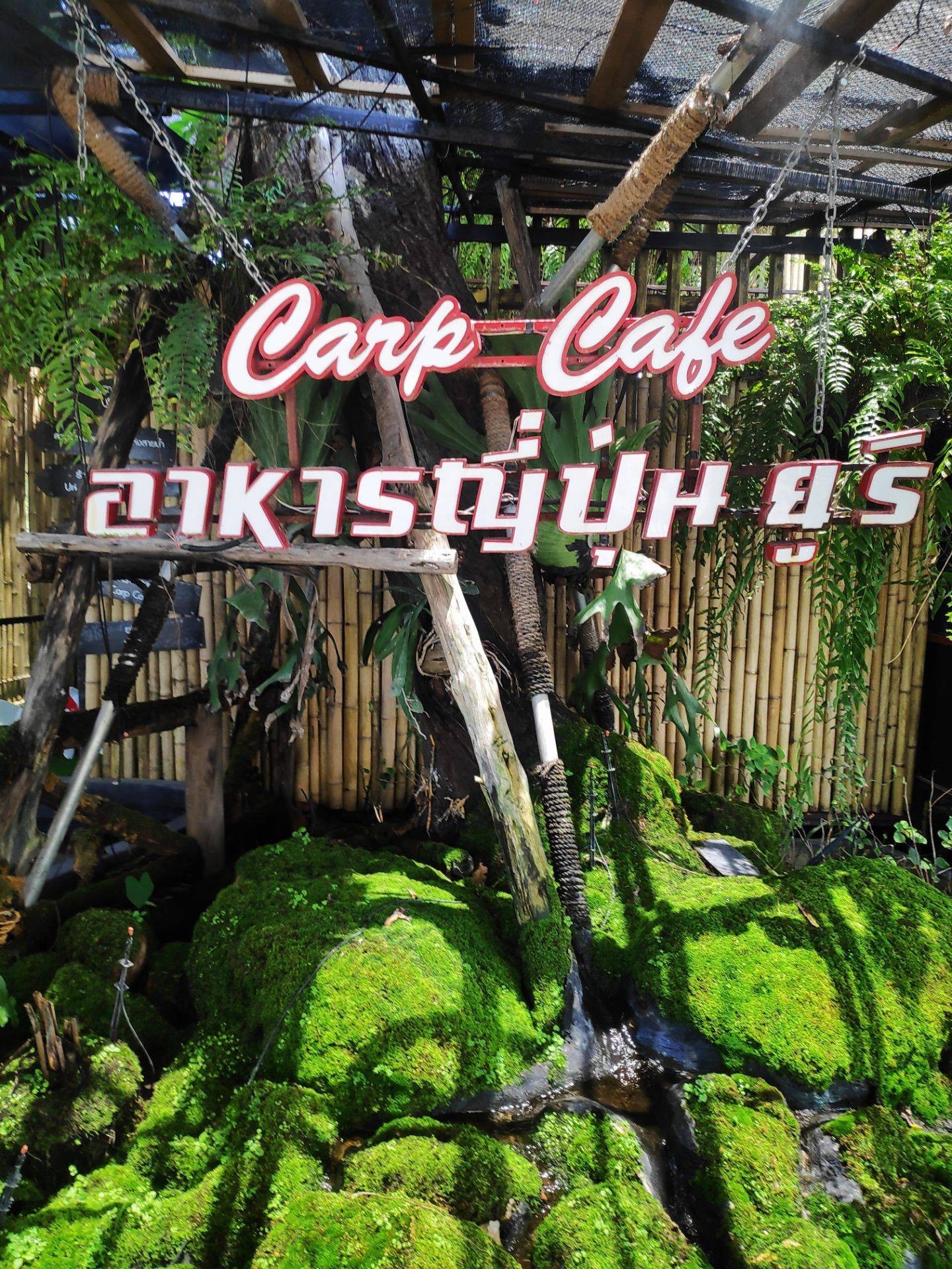 รีวิว Carp Cafe' - ประทับใจร้านนี้ อาหารญี่ปุ่นอร่อย
