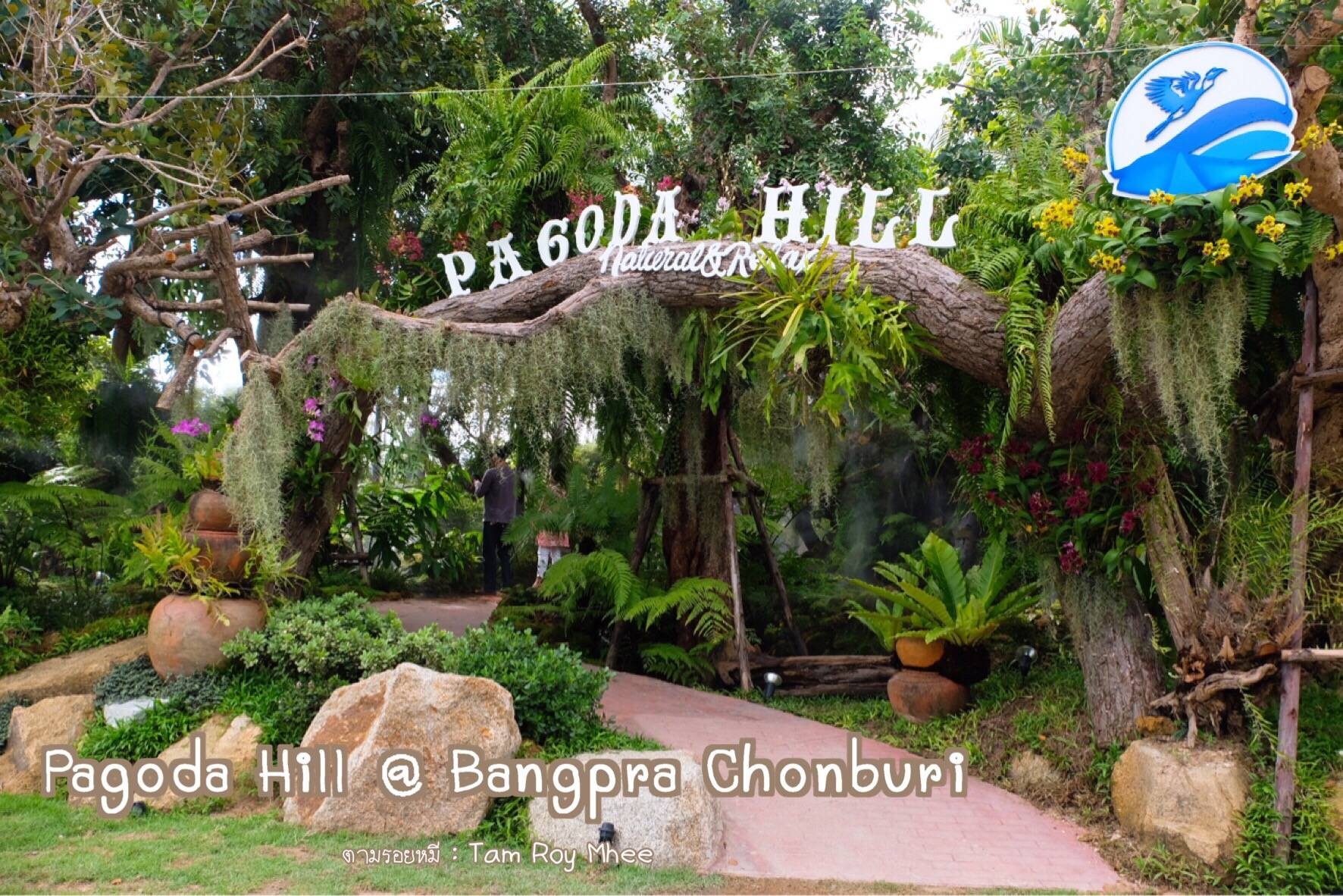 รูป Pagoda Hill