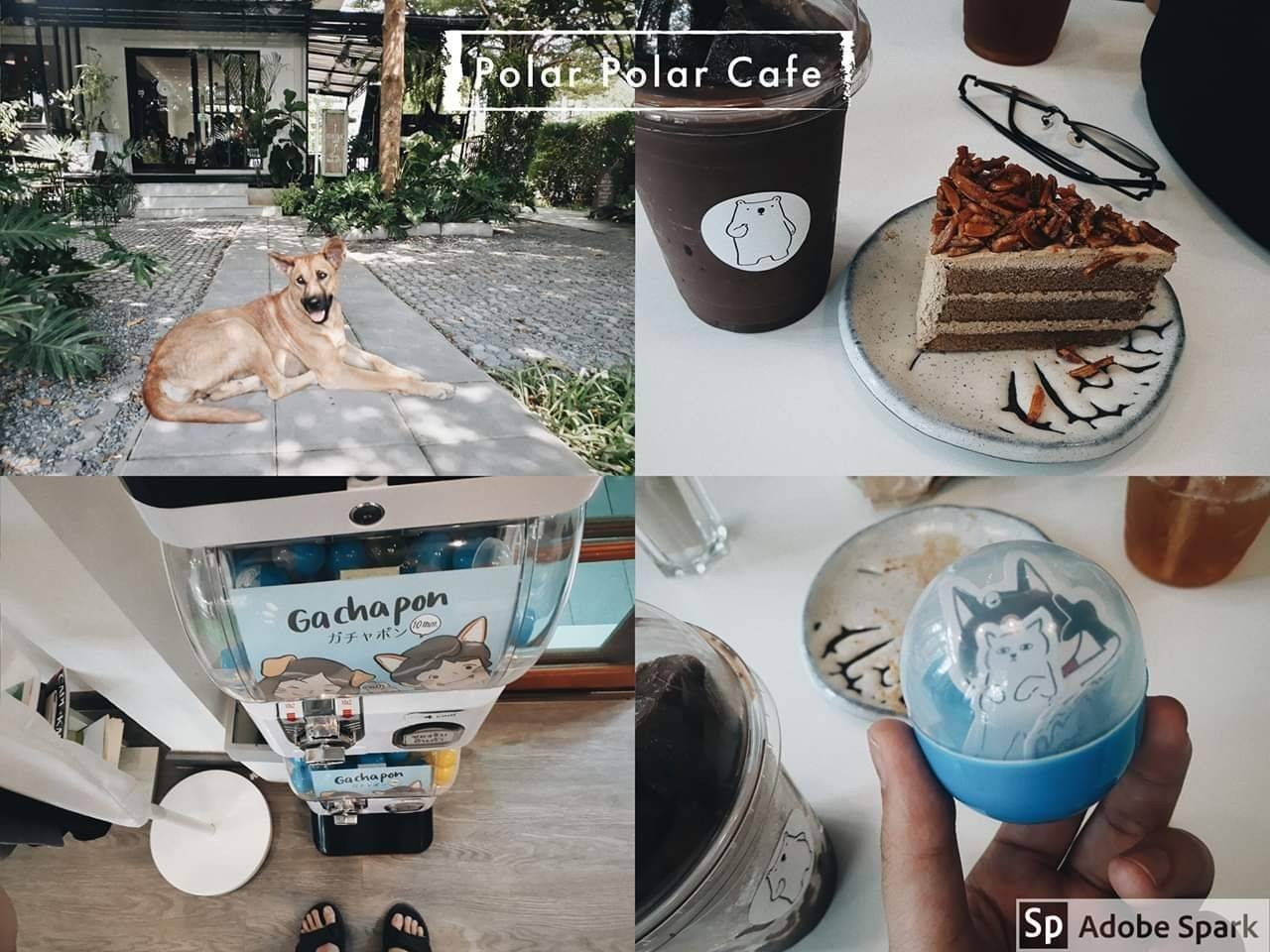 รีวิว Polar Polar Cafe สาขา1 อ่างห้วยยาง - ร้านกาแฟนั่งเล่น
