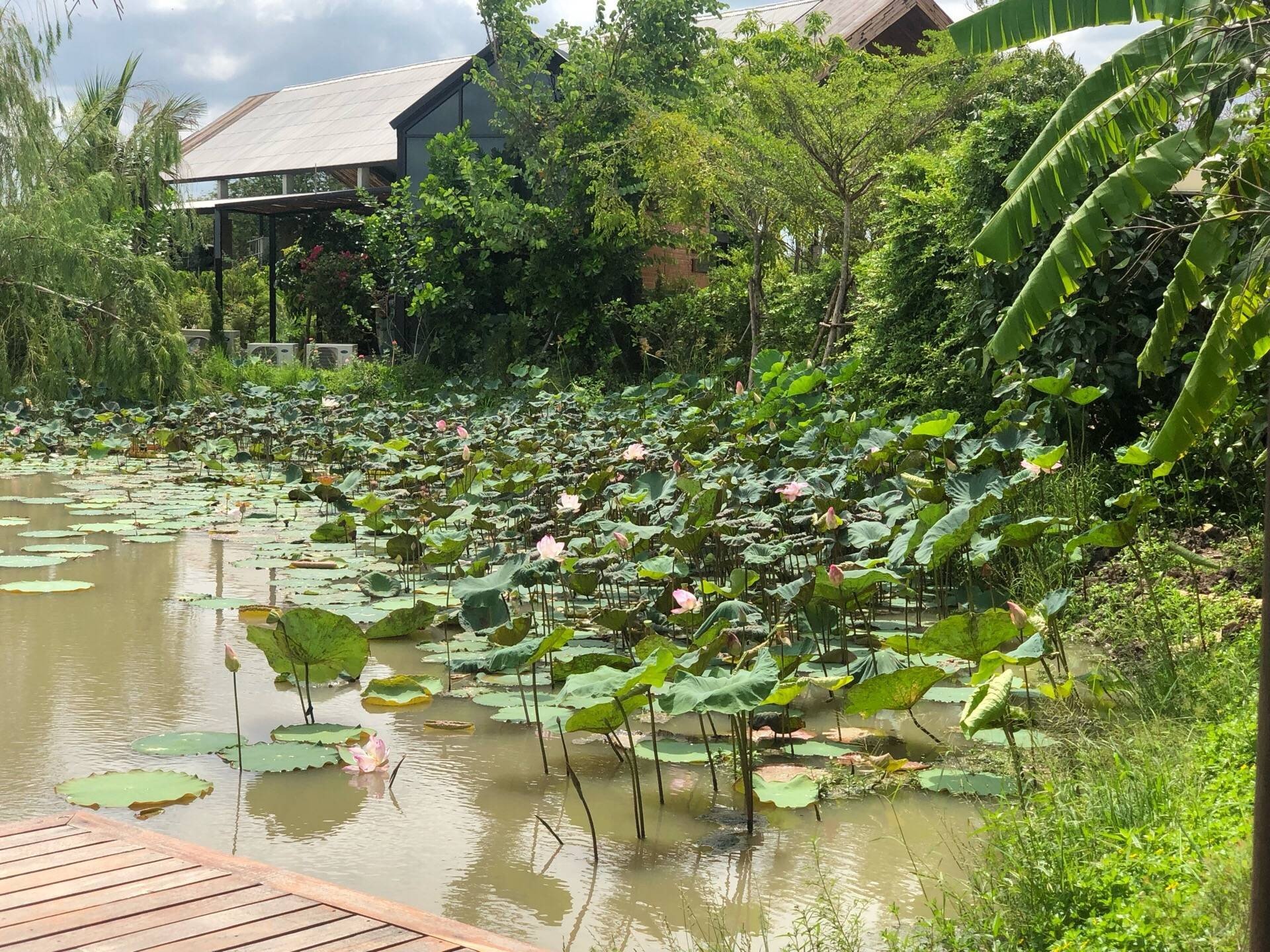 รีวิว DuBua - เจ้าของใจดีและเฟรนลี่มาก มีหลายคาเฟ่ ทำให้น่าสนใจ ฟาร์ม ...