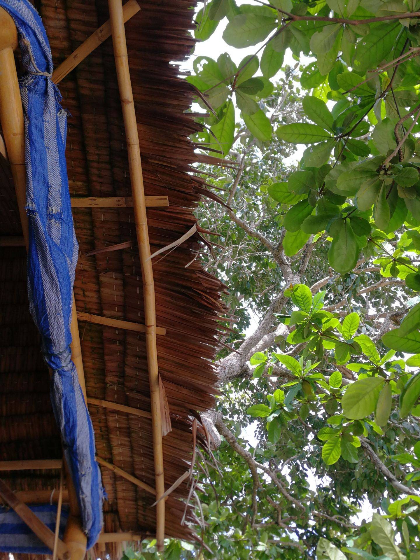 รูป กะหลิมริมเล