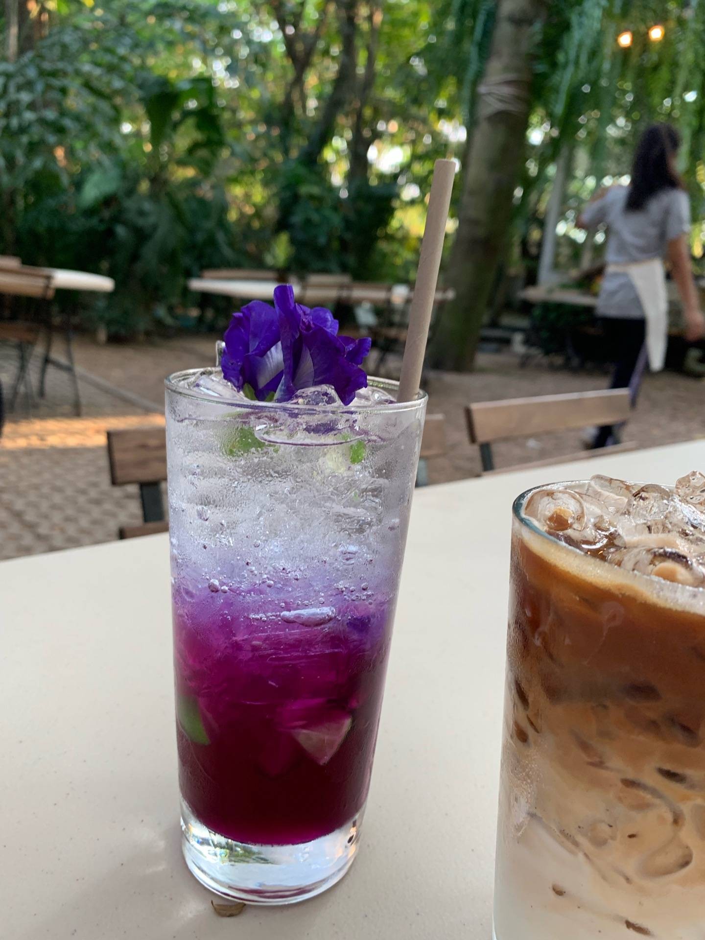 รีวิว Little Tree Garden บ้านใหม่ - ร้านใหญ่ในสวนลับ