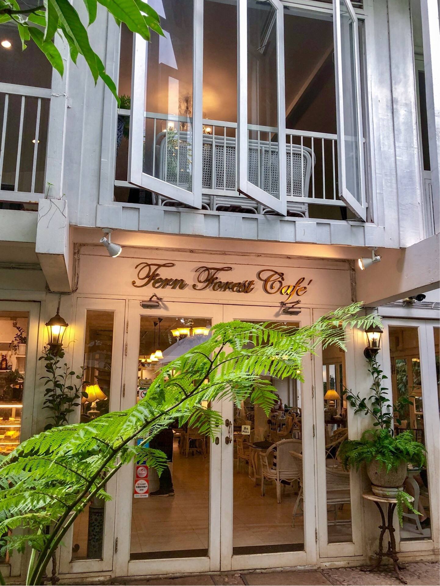 รีวิว Fern Forest Cafe - Great coffee and pastries