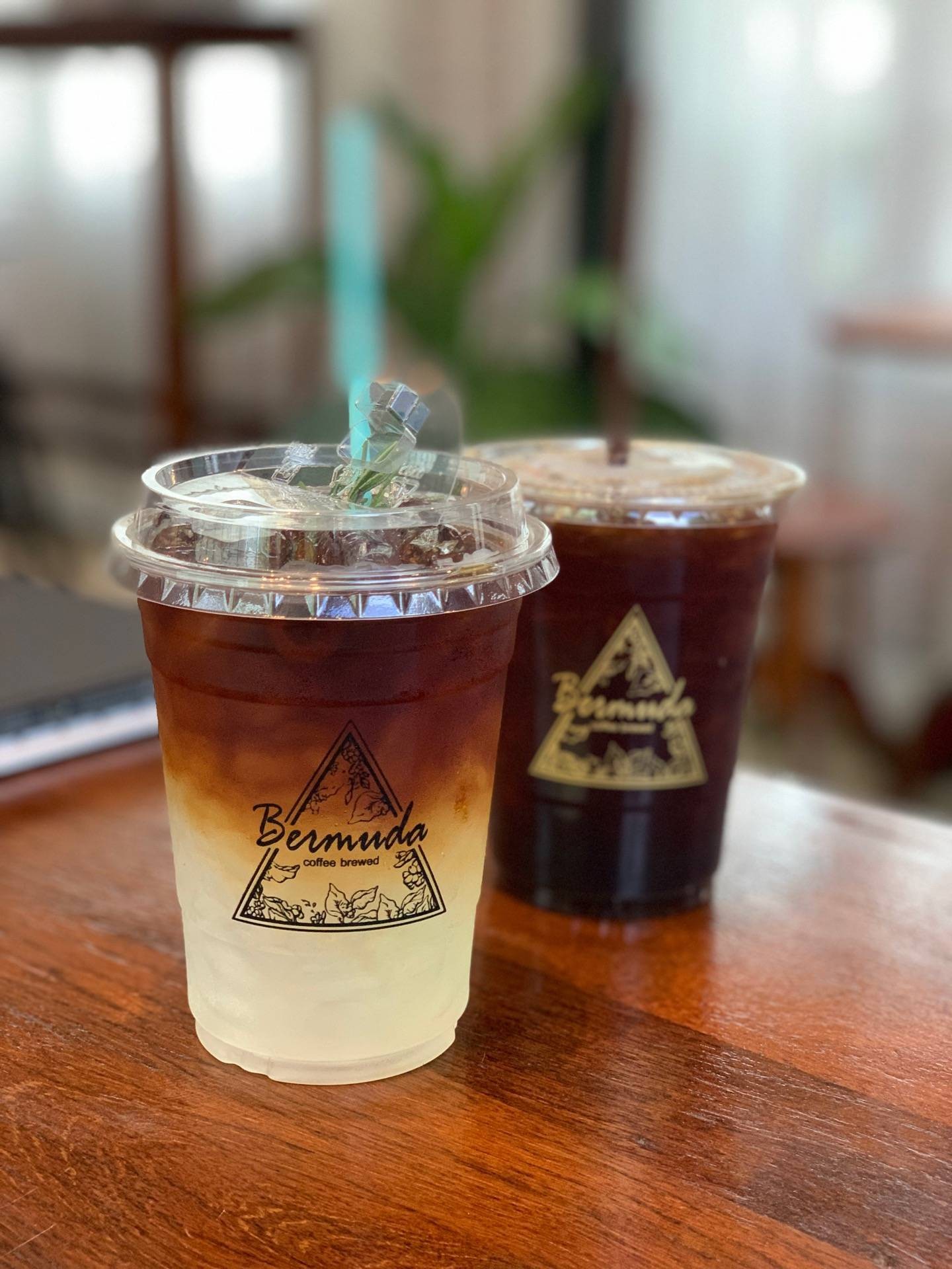 bermuda coffee - สั่งอาหารเดลิเวอรี | Wongnai x LINE MAN