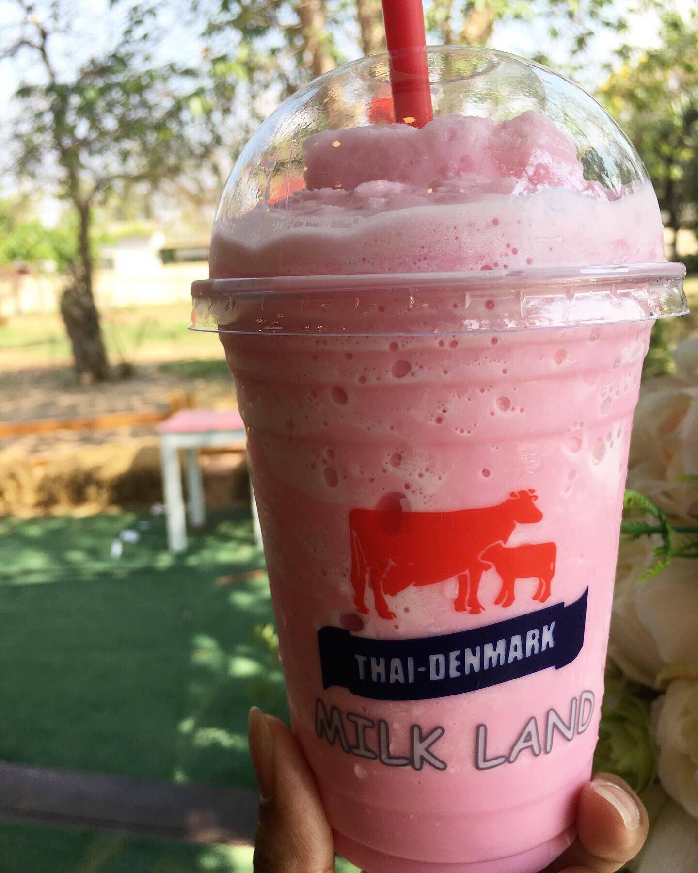รีวิว Thai - Denmark MILK LAND ปตท.อาทิตย์ไฮเวย์ บายพาส (ปั้มตรงข้ามไท ...