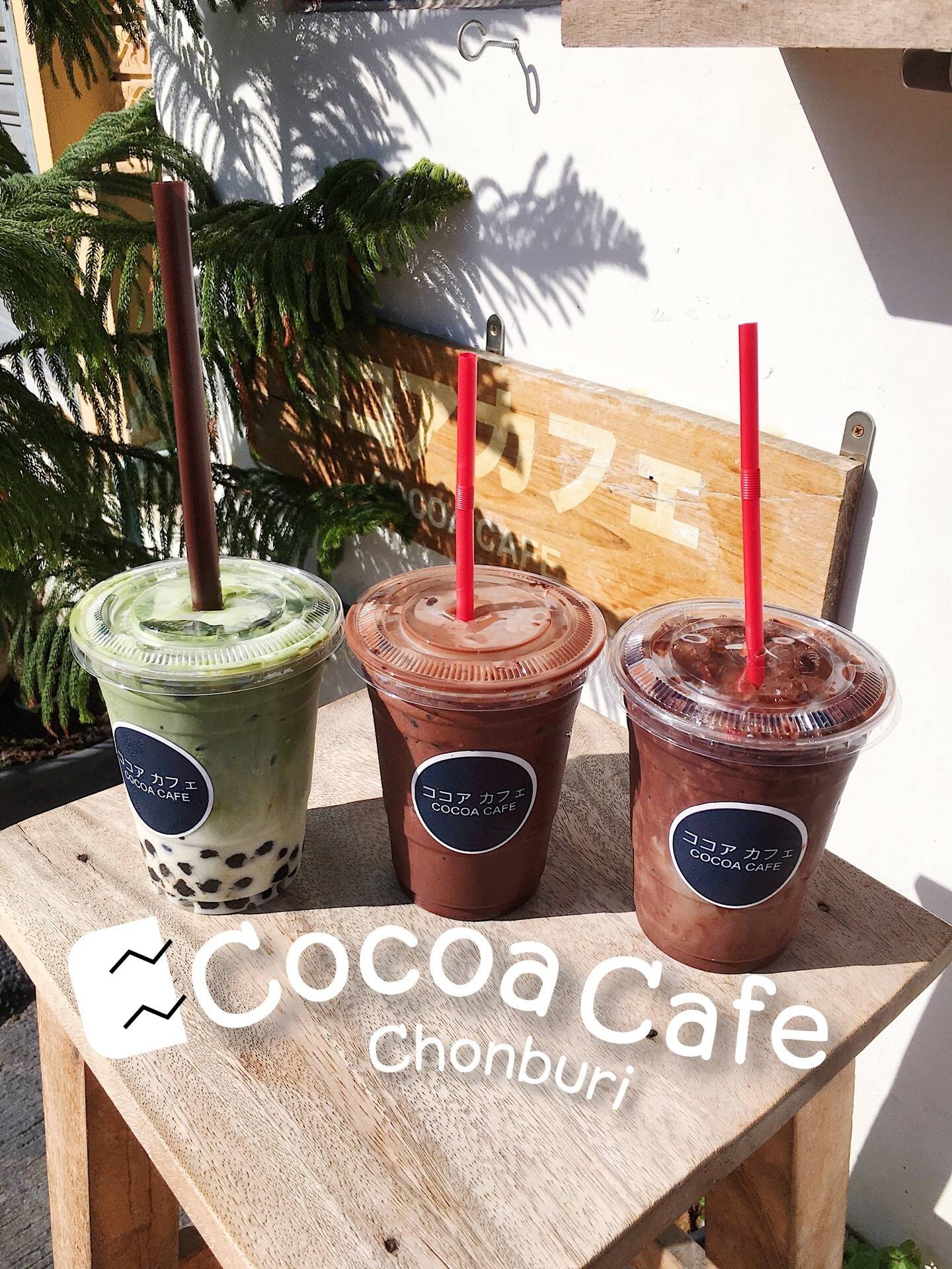 รีวิว Cocoa Cafe - เข้มสุดๆไปเลยจ้า
