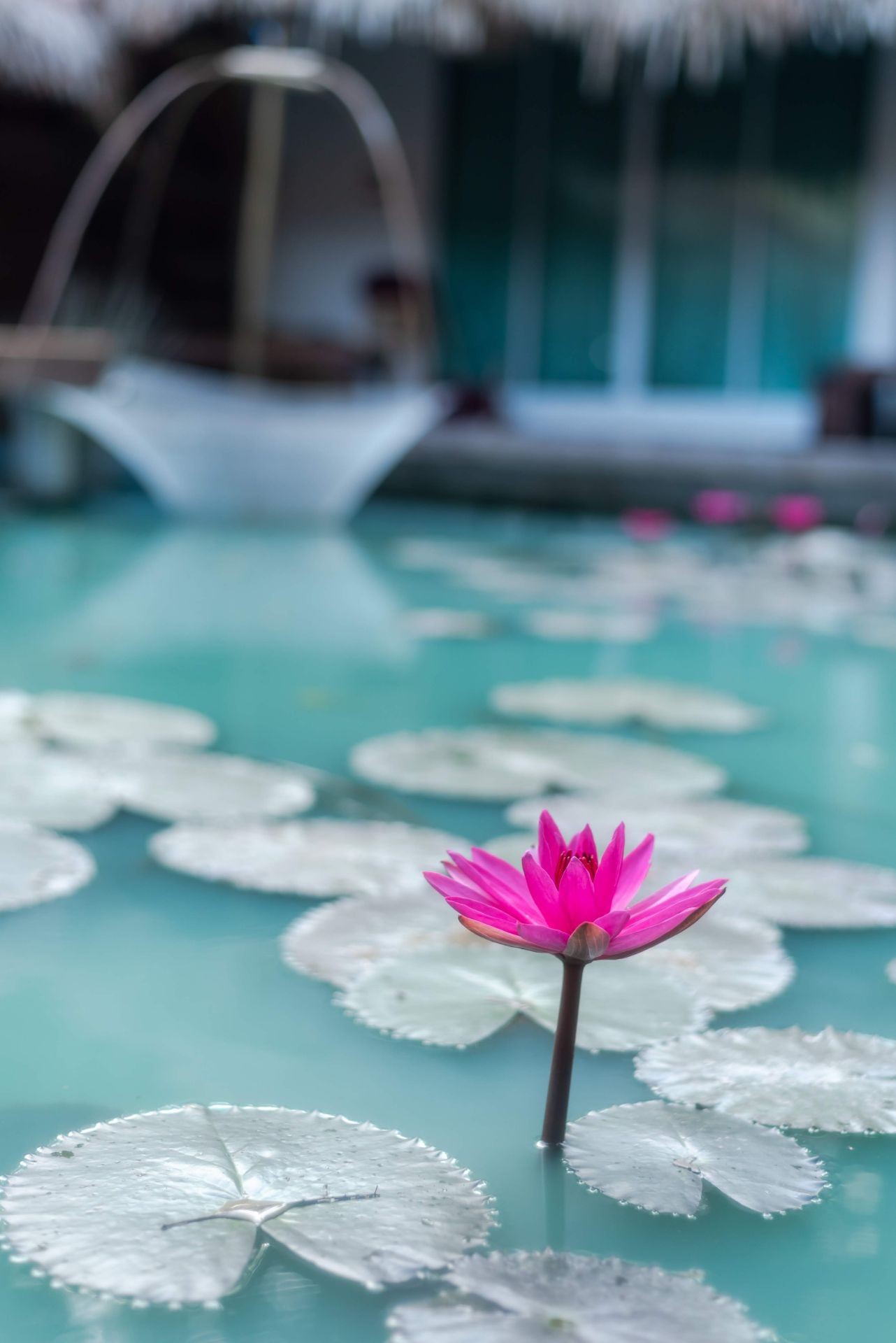 รูป Varni Homestay - Wongnai