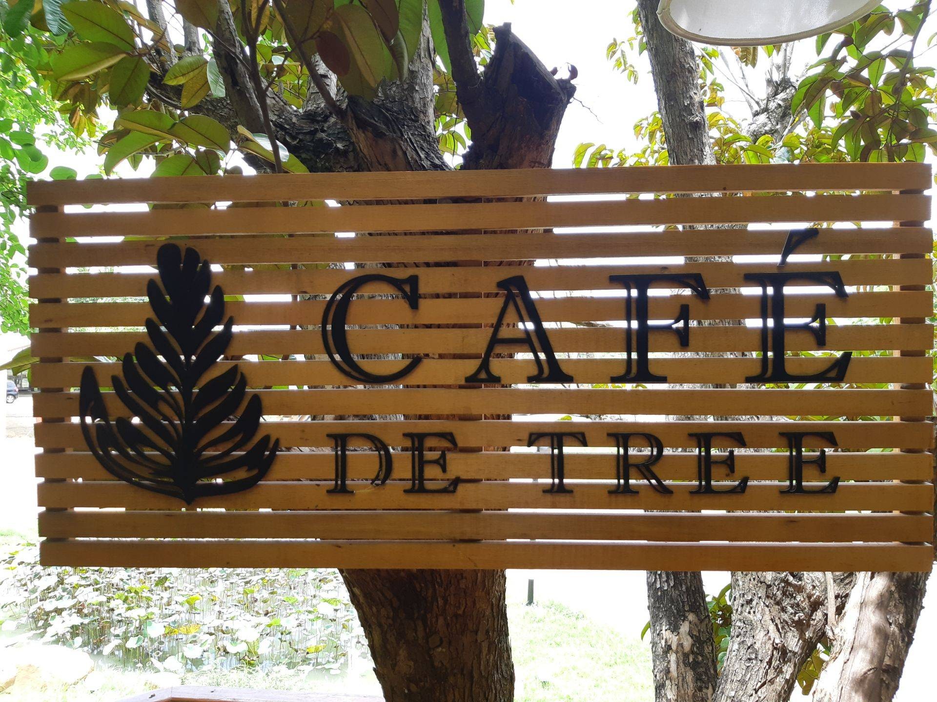 รีวิว Cafe De Tree - อาหารอร่อย บรรยากาศดี