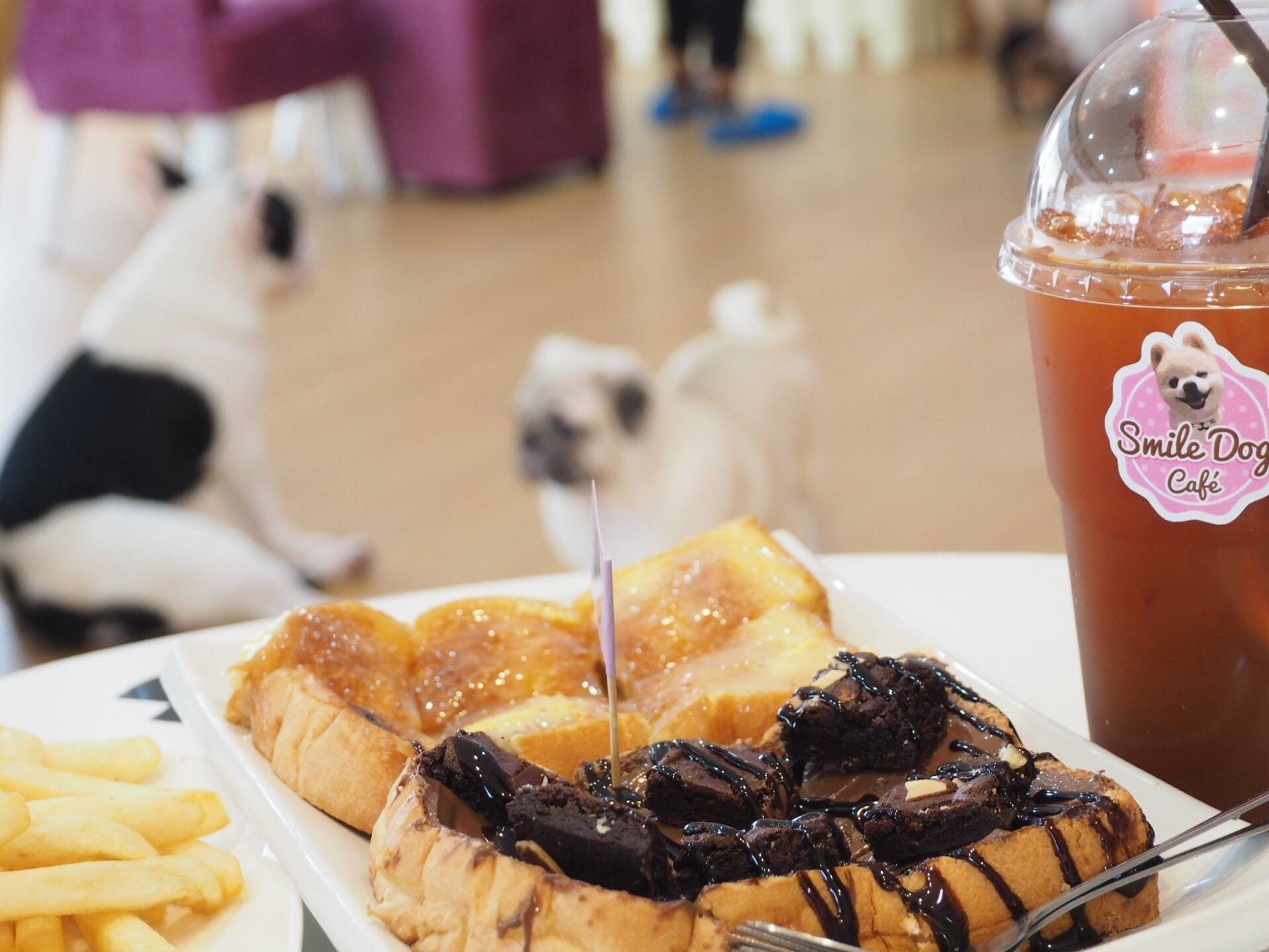 รีวิว Smile Dog Cafe - หมาเยอะ หมาล่ำ หมาน่ารัก น่าฟัดทุกตัว - Wongnai