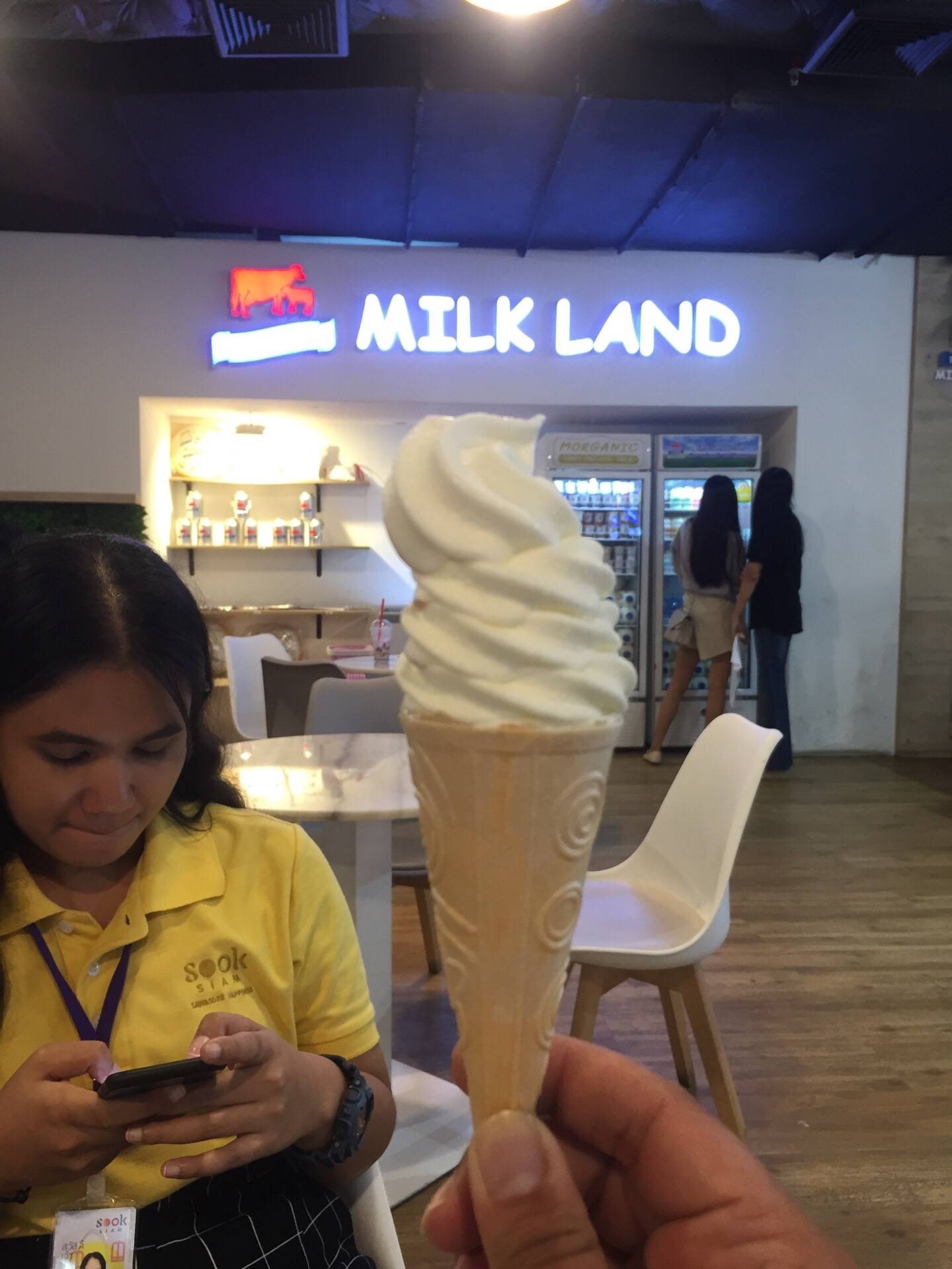 รีวิว Thai - Denmark MILK LAND ICONSIAM - soft serve 19