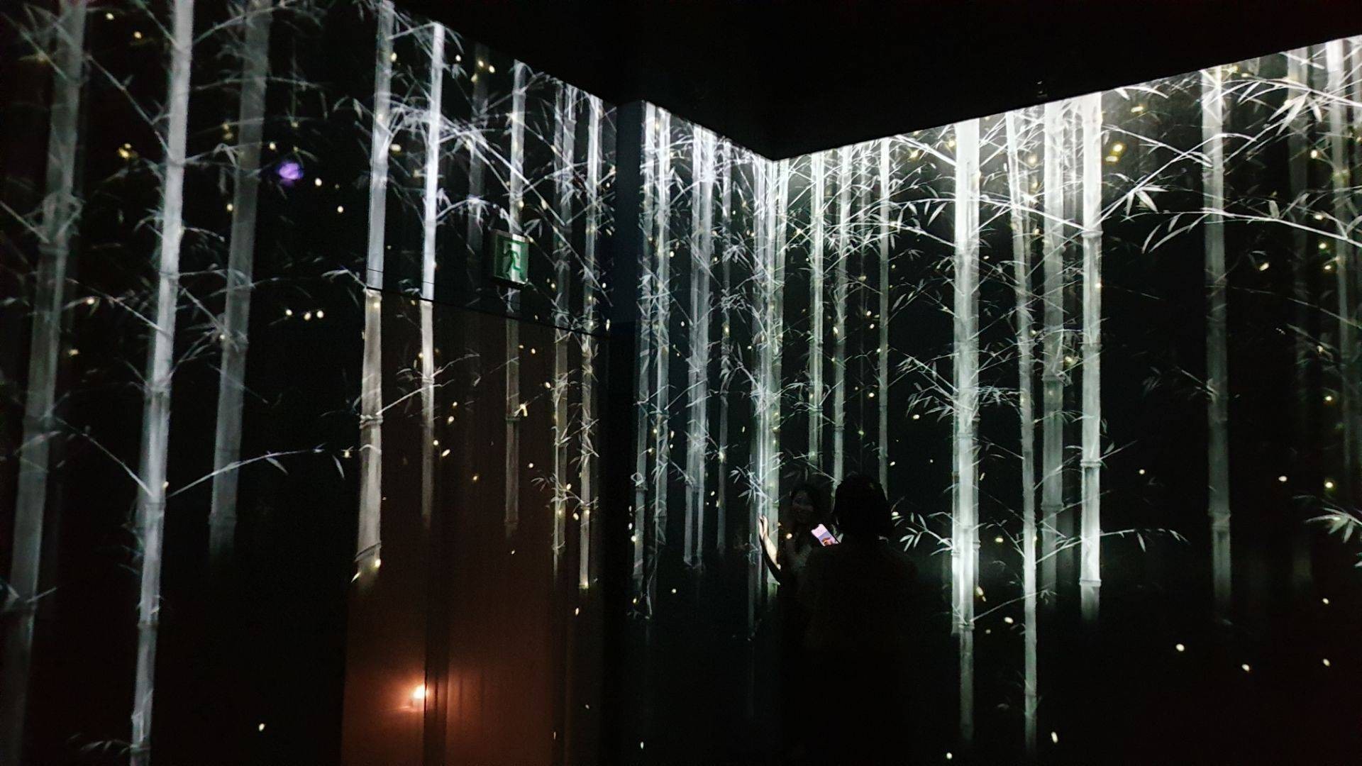 teamLab Borderless - รีวิวสถานที่ท่องเที่ยว - Wongnai