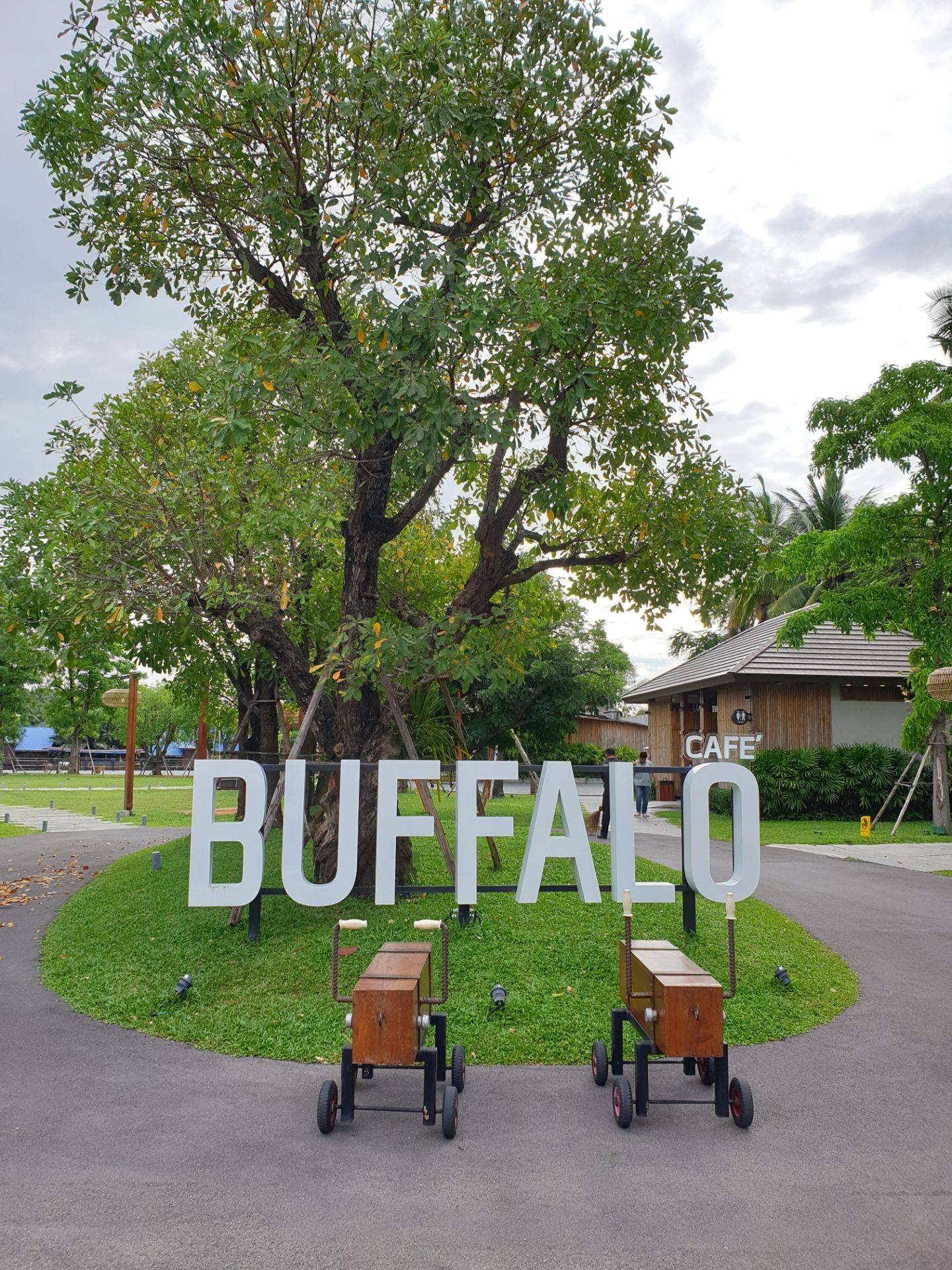 รีวิว The Buffalo Cafe' - ค. ควาย คาเฟ่🐃🐃🐃