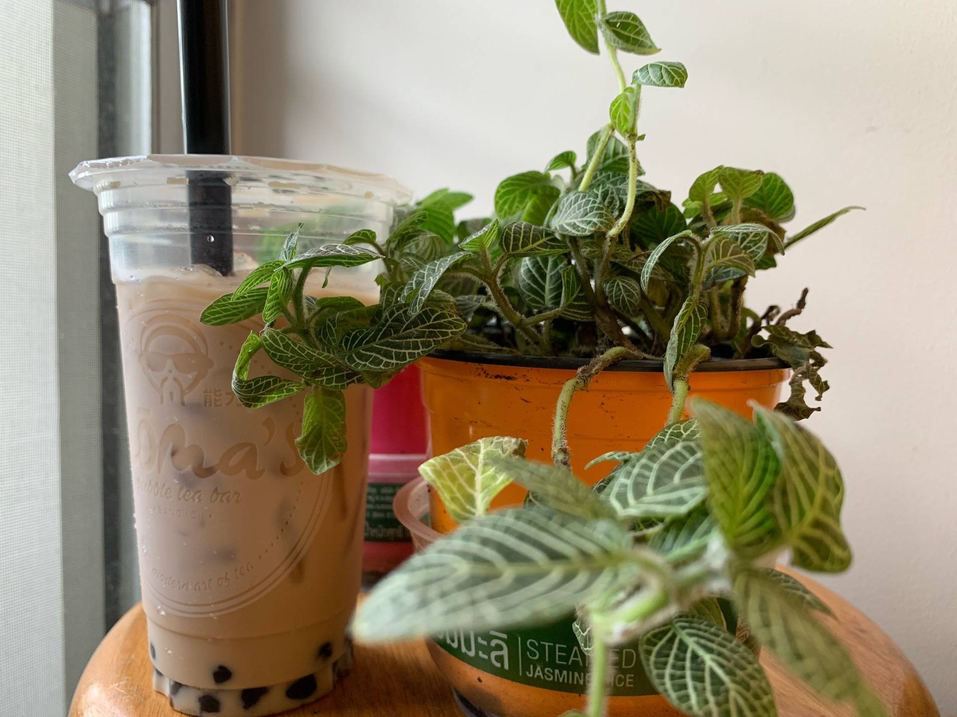รีวิว Moma's Bubble Tea Bar ดินแดง - ชานมไข่มุกราคาประหยัด