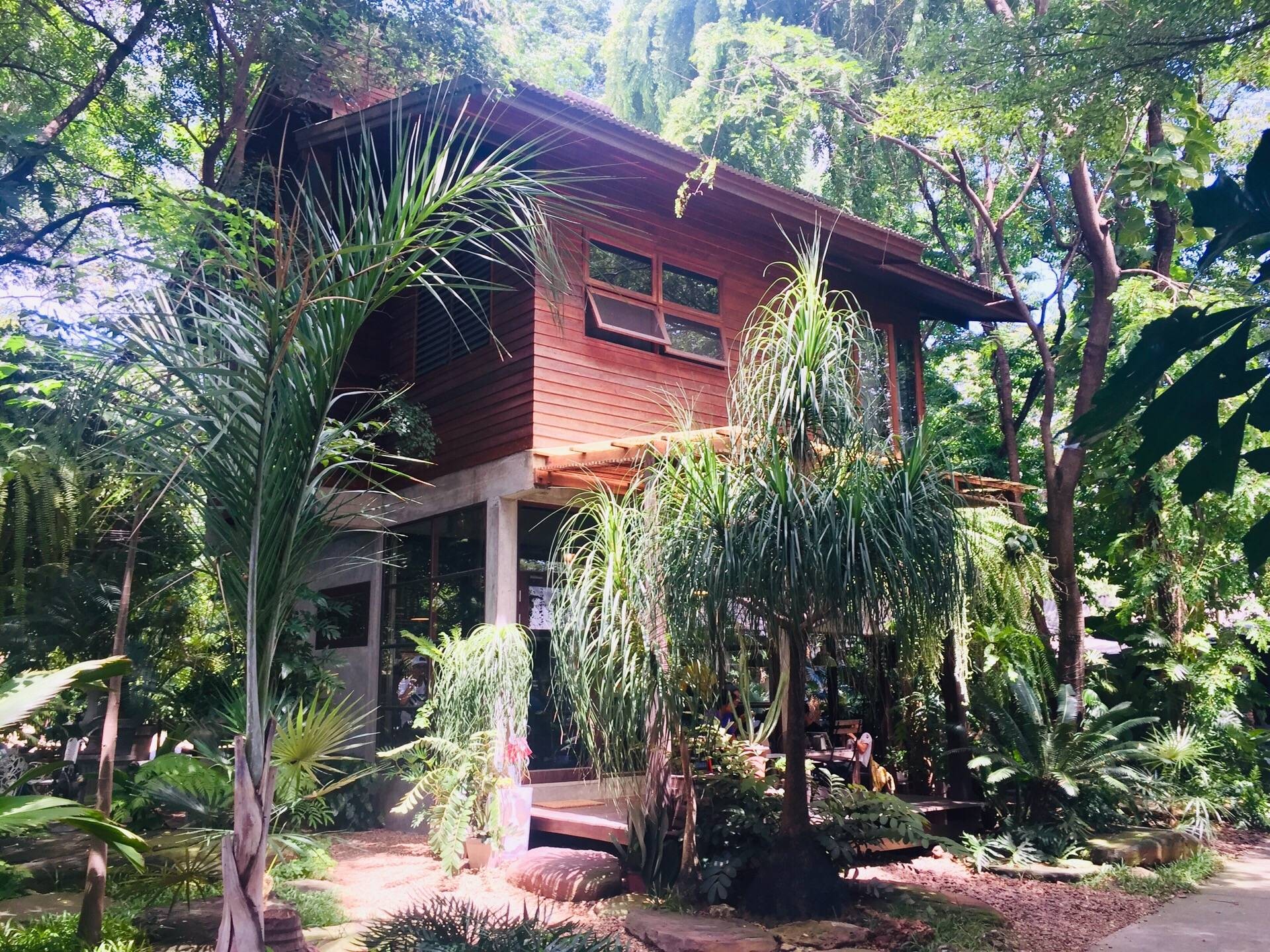 รีวิว 382 SPACE COFFEE & BAKERY - ร้านกาแฟในบรรยากาศบ้านในสวนสวยใจกลาง ...