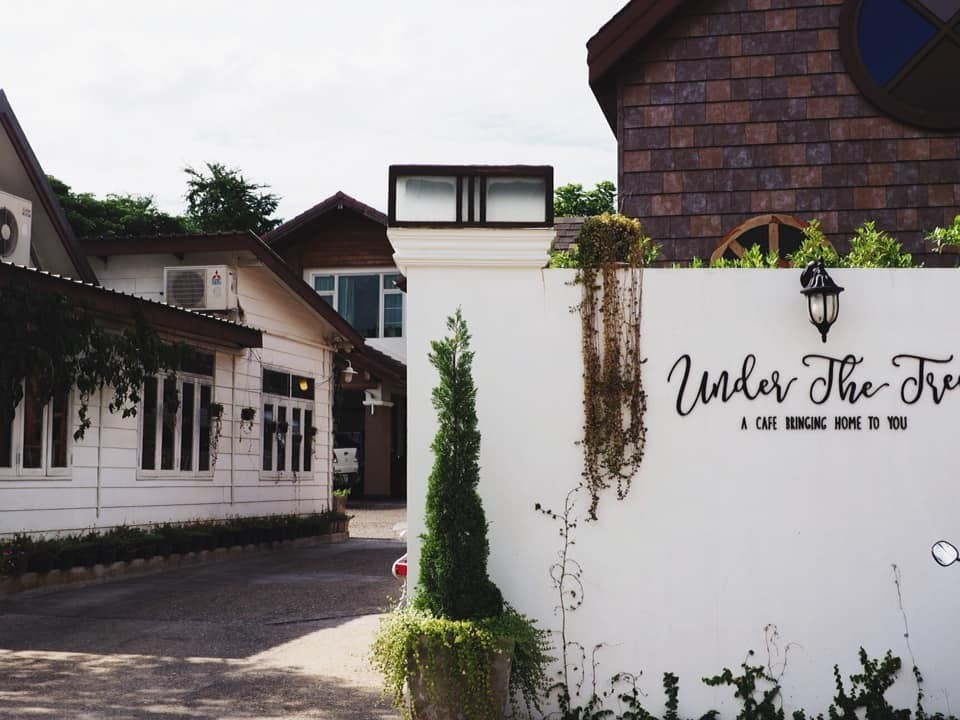 รีวิว Under the tree - Under The Tree Cafe’ - Wongnai