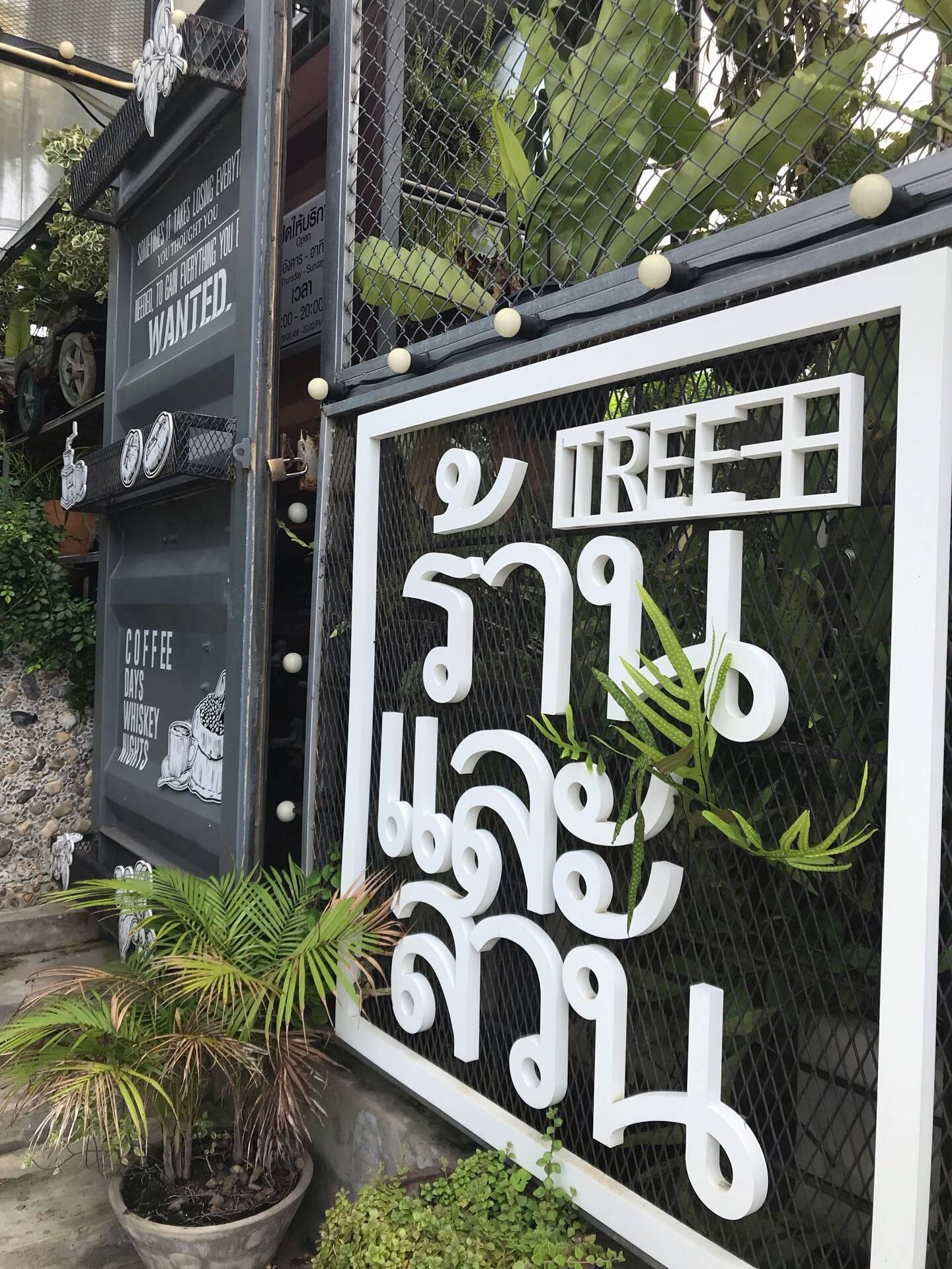 รีวิว 789 Slow Bar Coffee - 美味しいコーヒー！緑あふれる店内