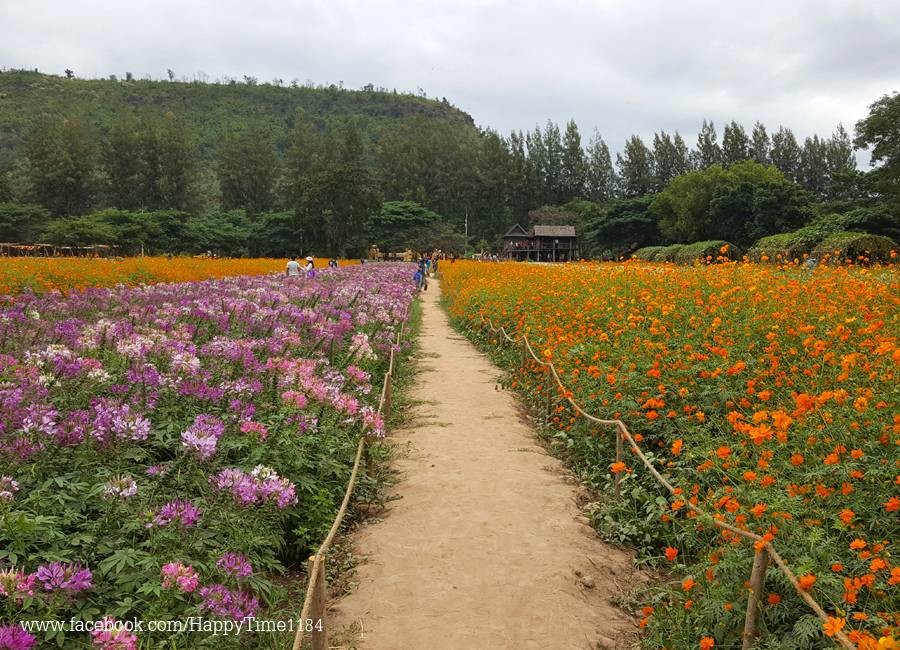 รูป Jim Thompson Farm