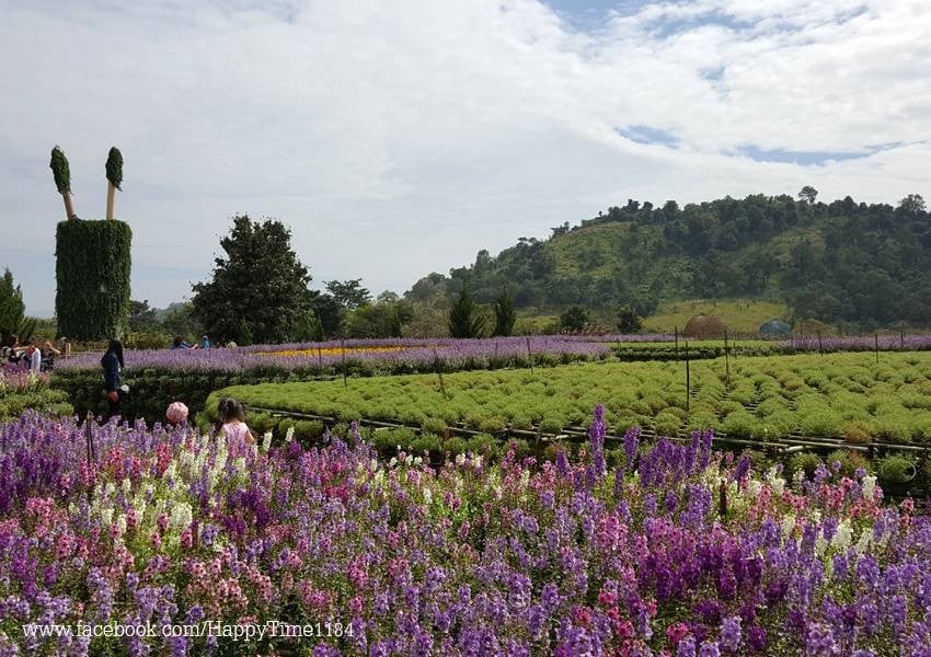 Flora Park - รีวิวสถานที่ท่องเที่ยว