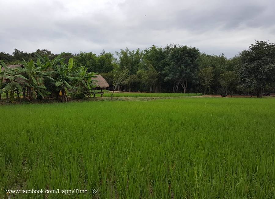 รูป Jim Thompson Farm - Wongnai