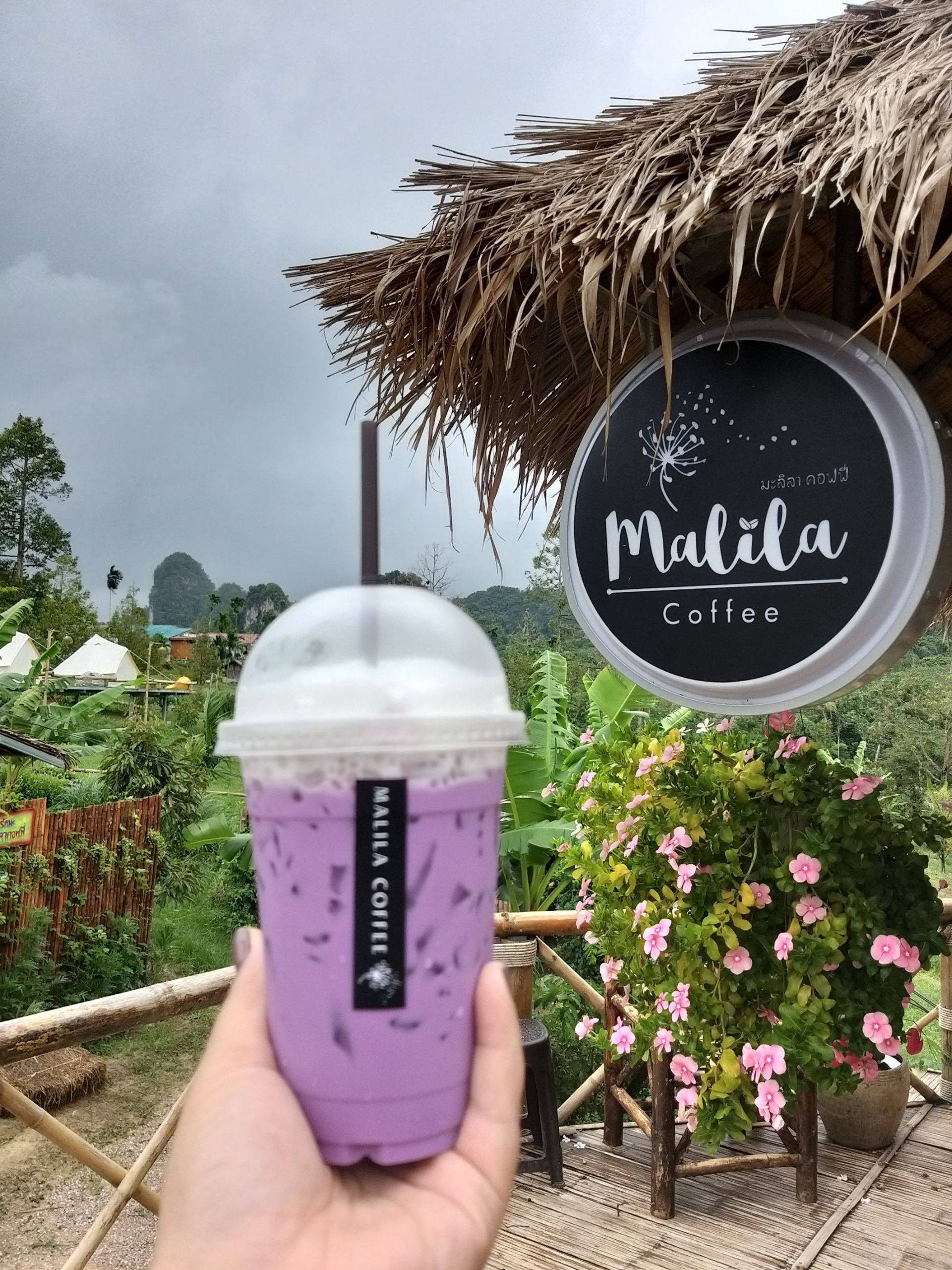 ร้าน Malila | รีวิวร้านอาหาร - Wongnai